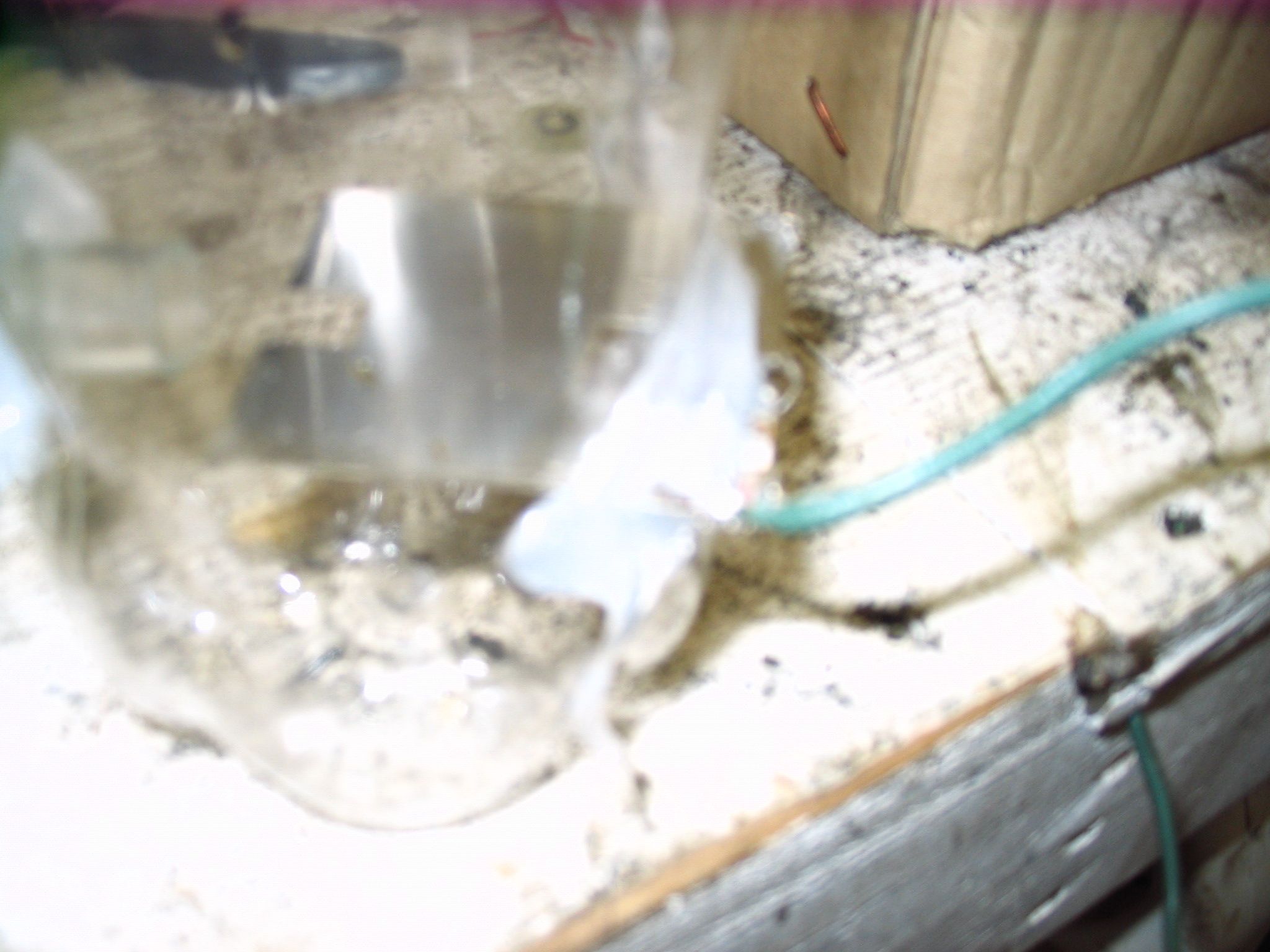 Water Separator - Instructables