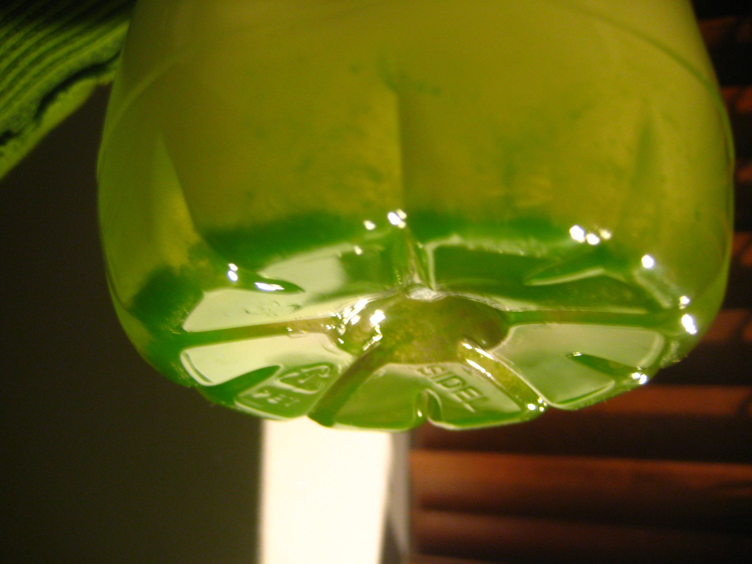 The Algae Experiment: How to Build Your Own Algae Photo-bioreactor ...