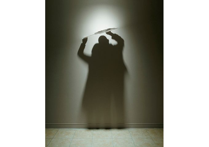 Shadow Sculptures! : 6 Steps (with Pictures) - Instructables