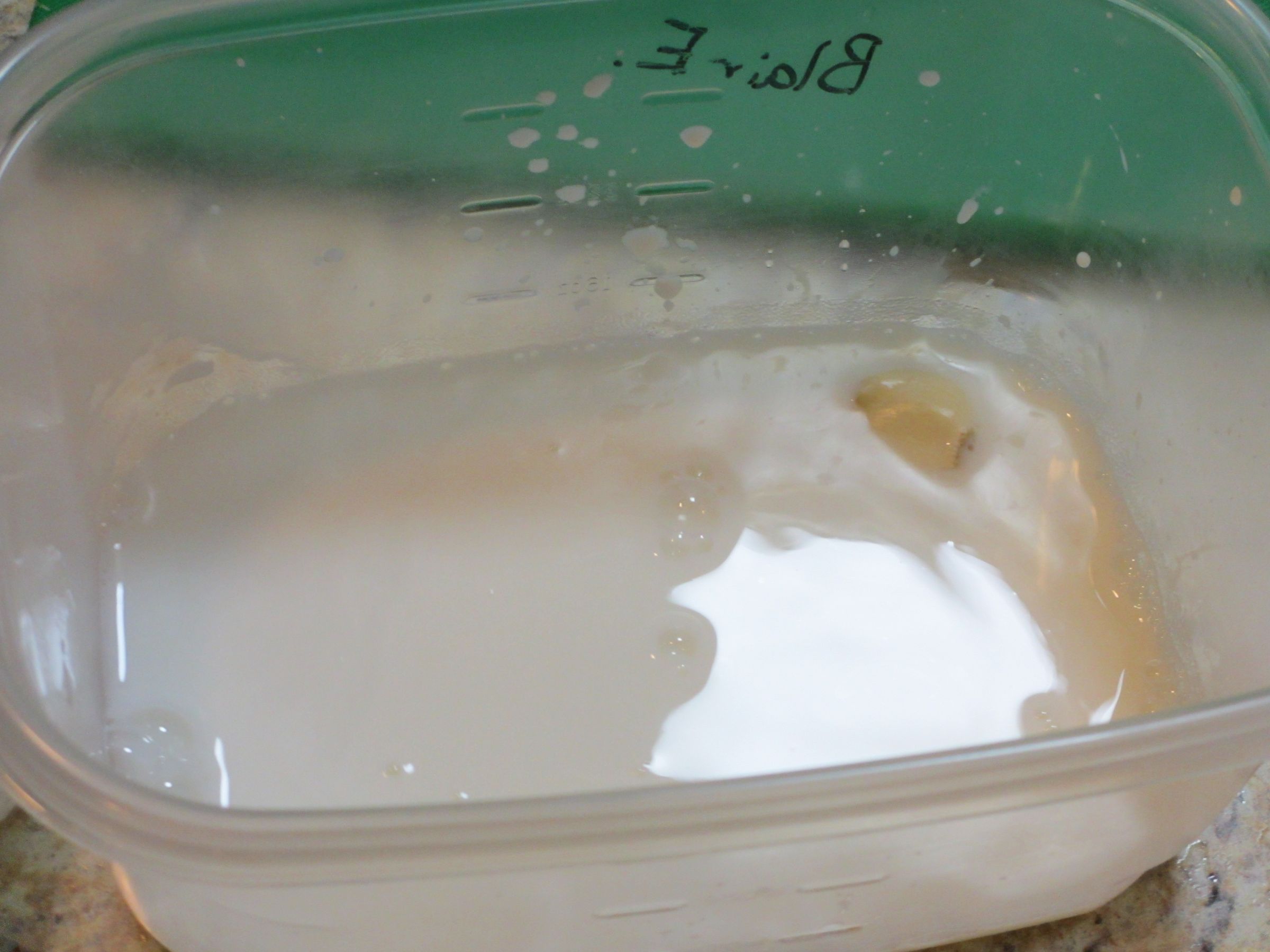 Parmesan Foam : 6 Steps (with Pictures) - Instructables