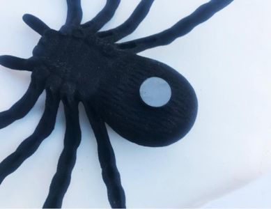 Spider Magnets for the Front Door : 3 Steps - Instructables