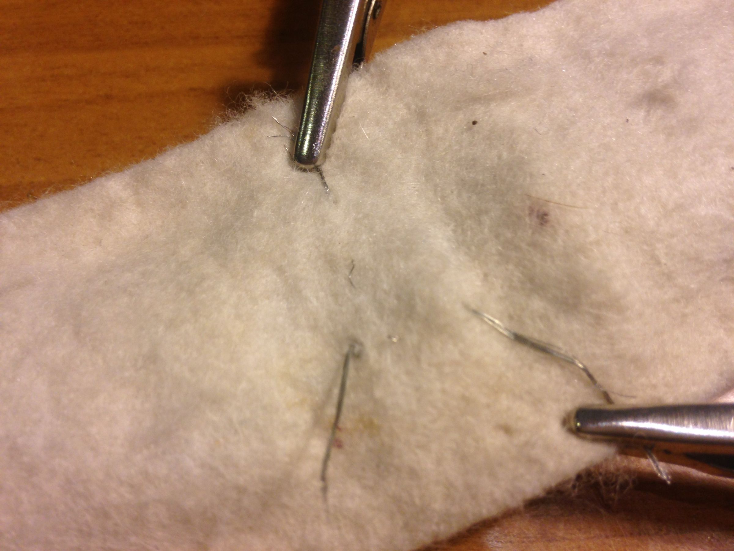 RF Sheep Tracker - Keep Your Sheep in Sight! : 6 Steps (with Pictures ...