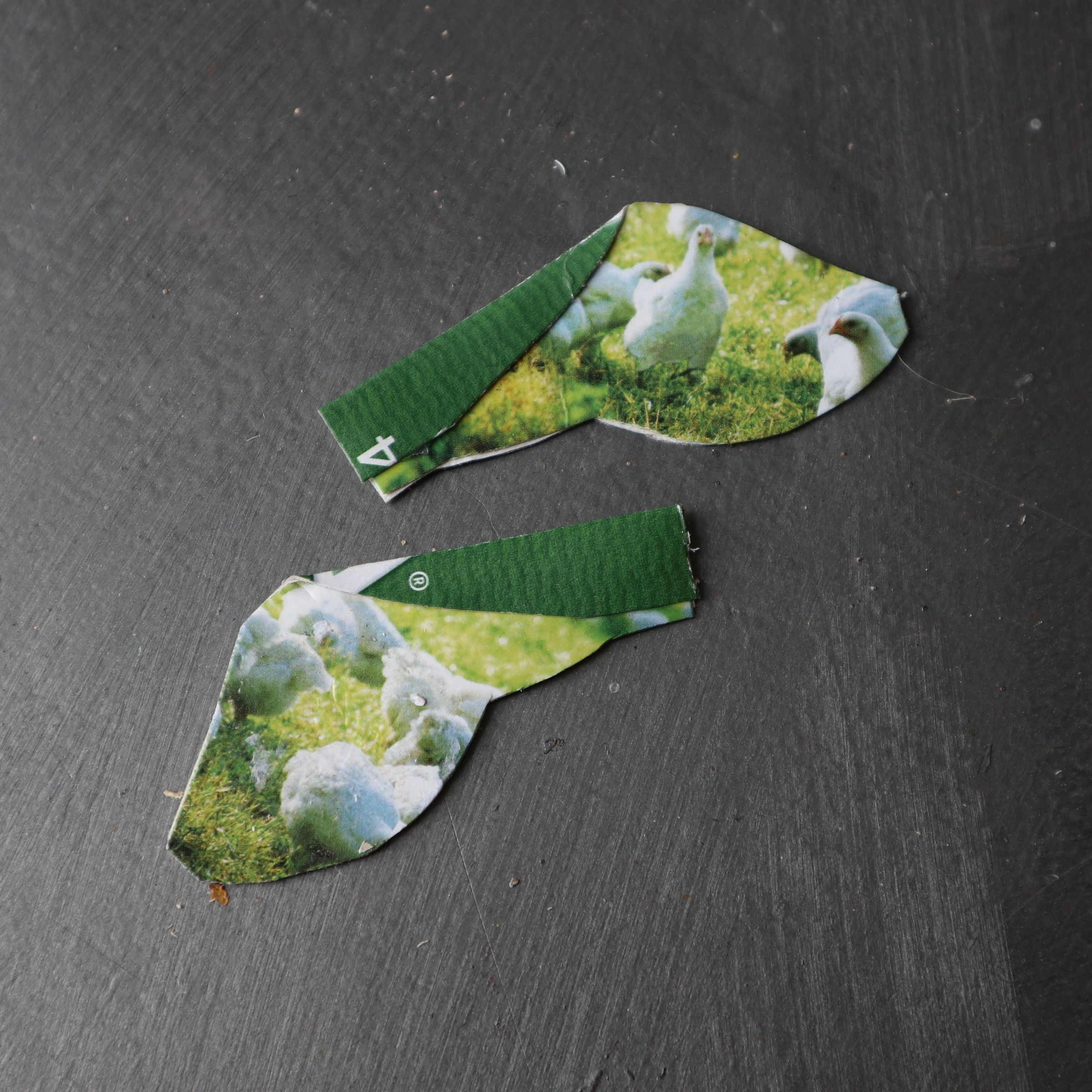 Little Green Peg Parrot : 9 Steps (with Pictures) - Instructables