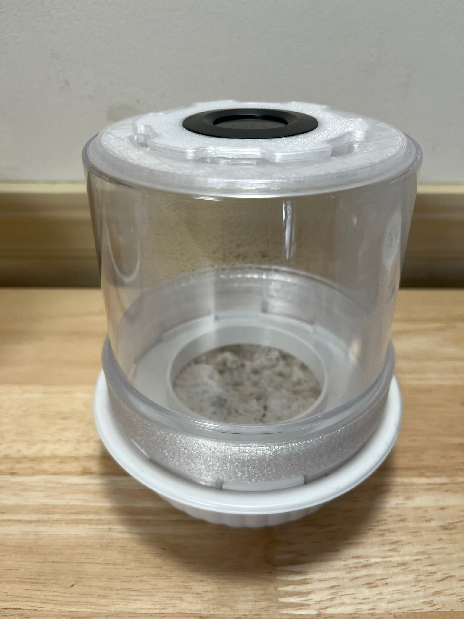 Grow Mushrooms With Rice (Revised and Improved!) : 7 Steps (with ...