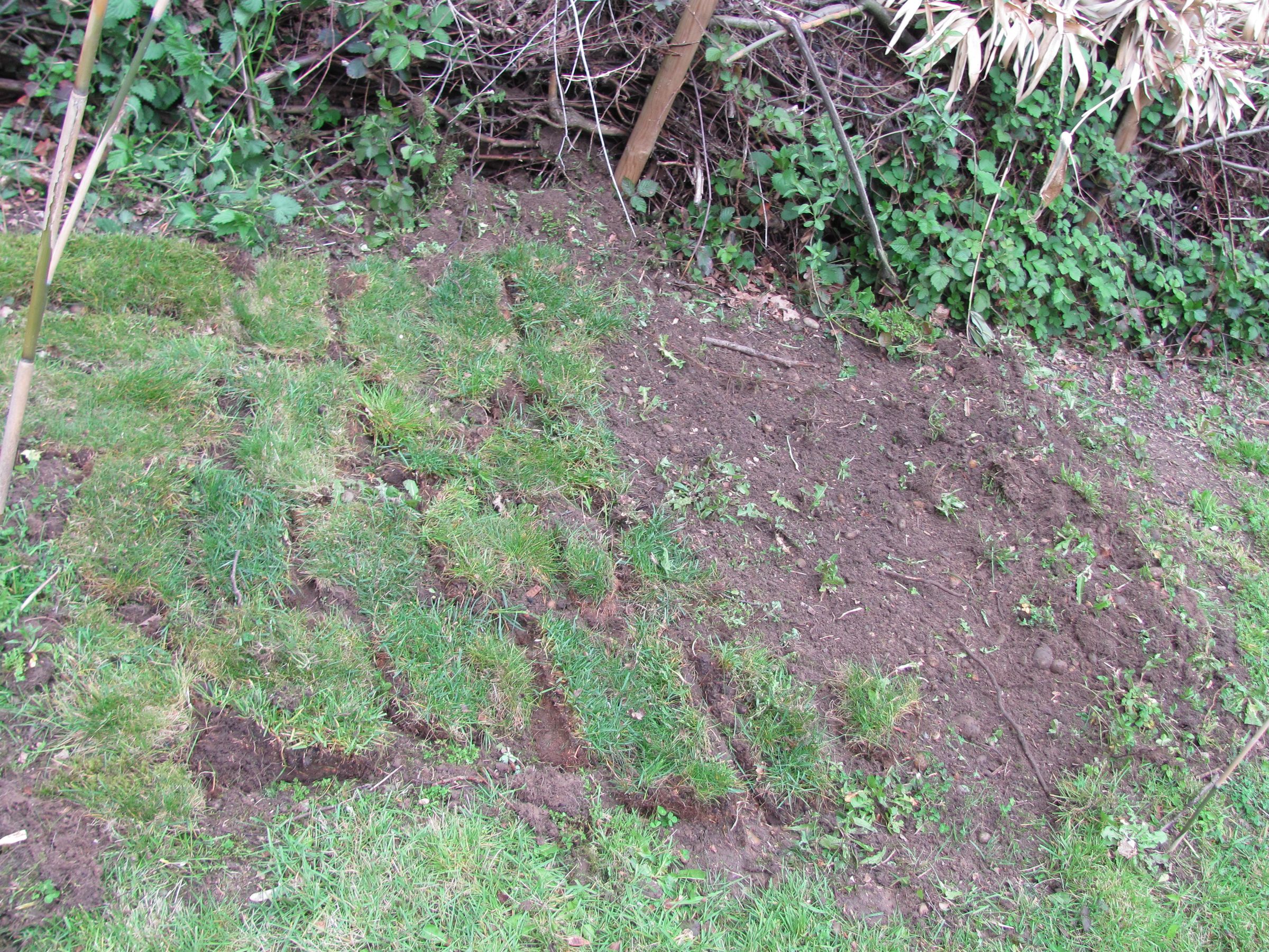 Grass Patching - Instructables