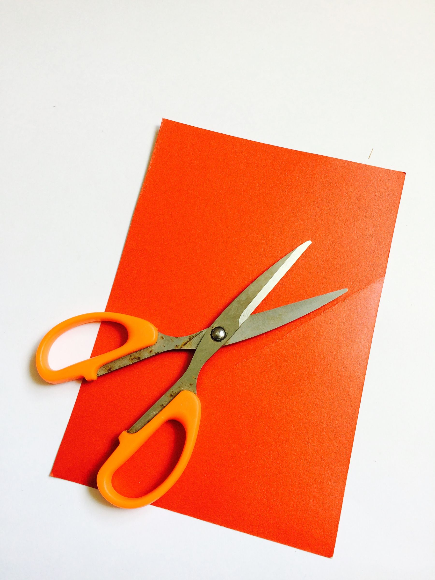 DIY: Flapping Bird : 6 Steps (with Pictures) - Instructables