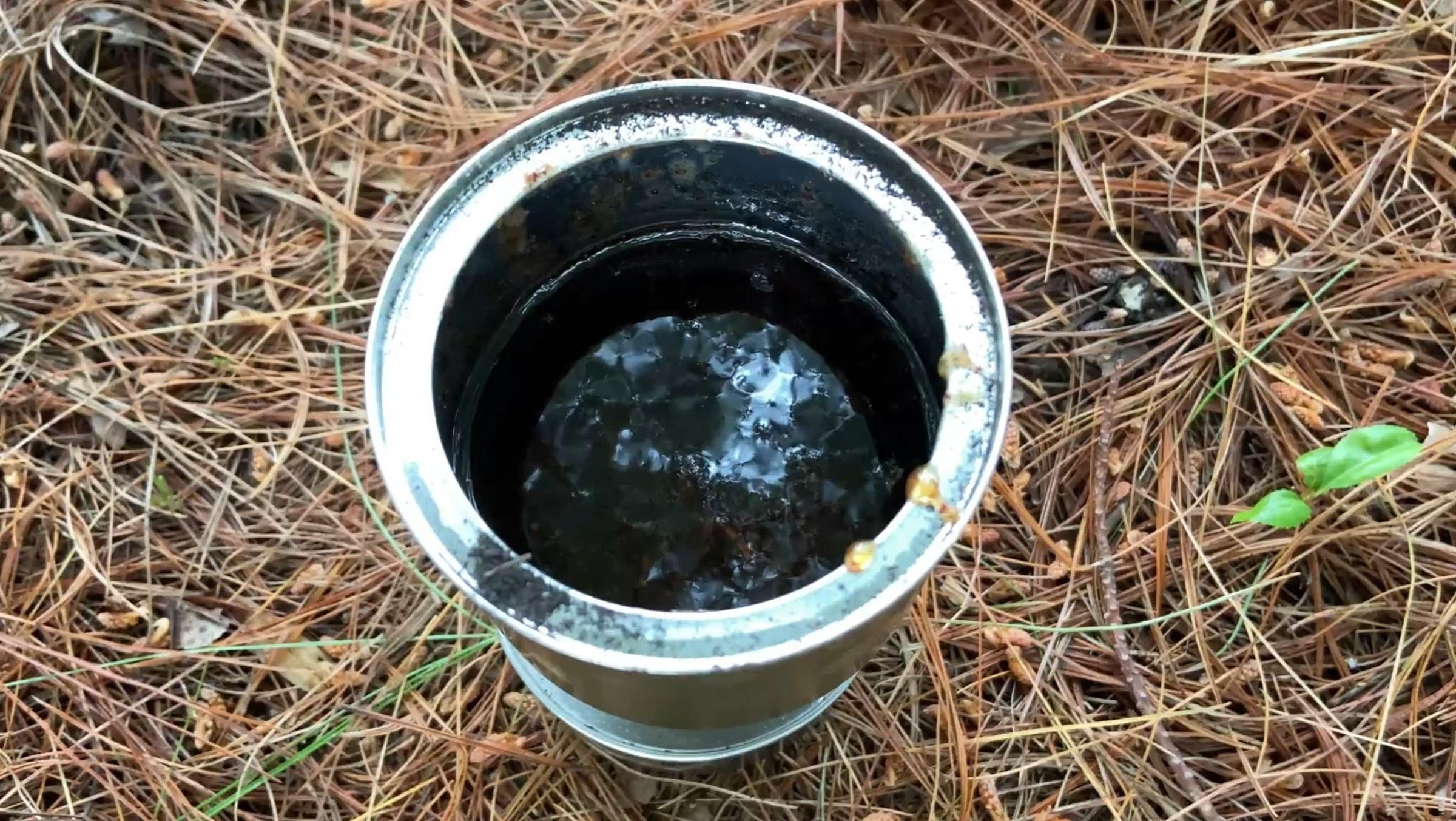 How to Make and Use Glue From Pine Resin : 6 Steps (with Pictures ...