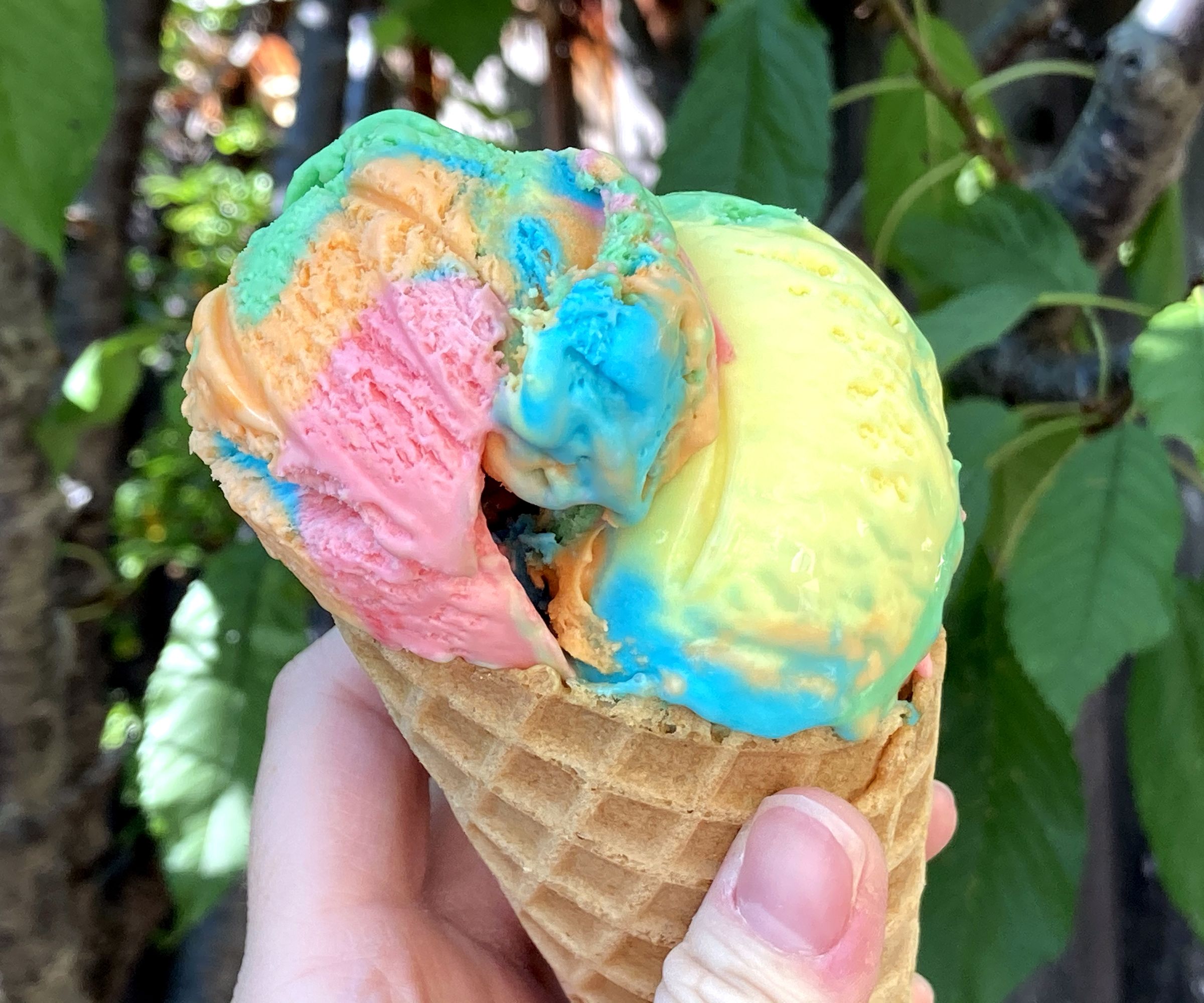 Fruit Rainbow Ice Cream : 6 Steps (with Pictures) - Instructables