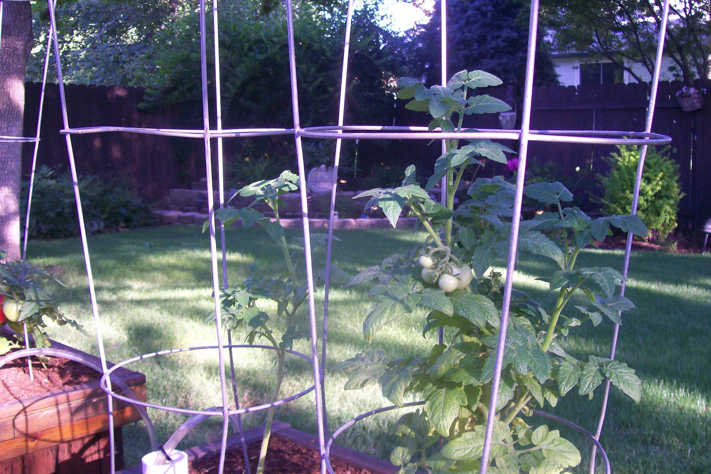 How to Build Your Own Growing Containers : 13 Steps - Instructables