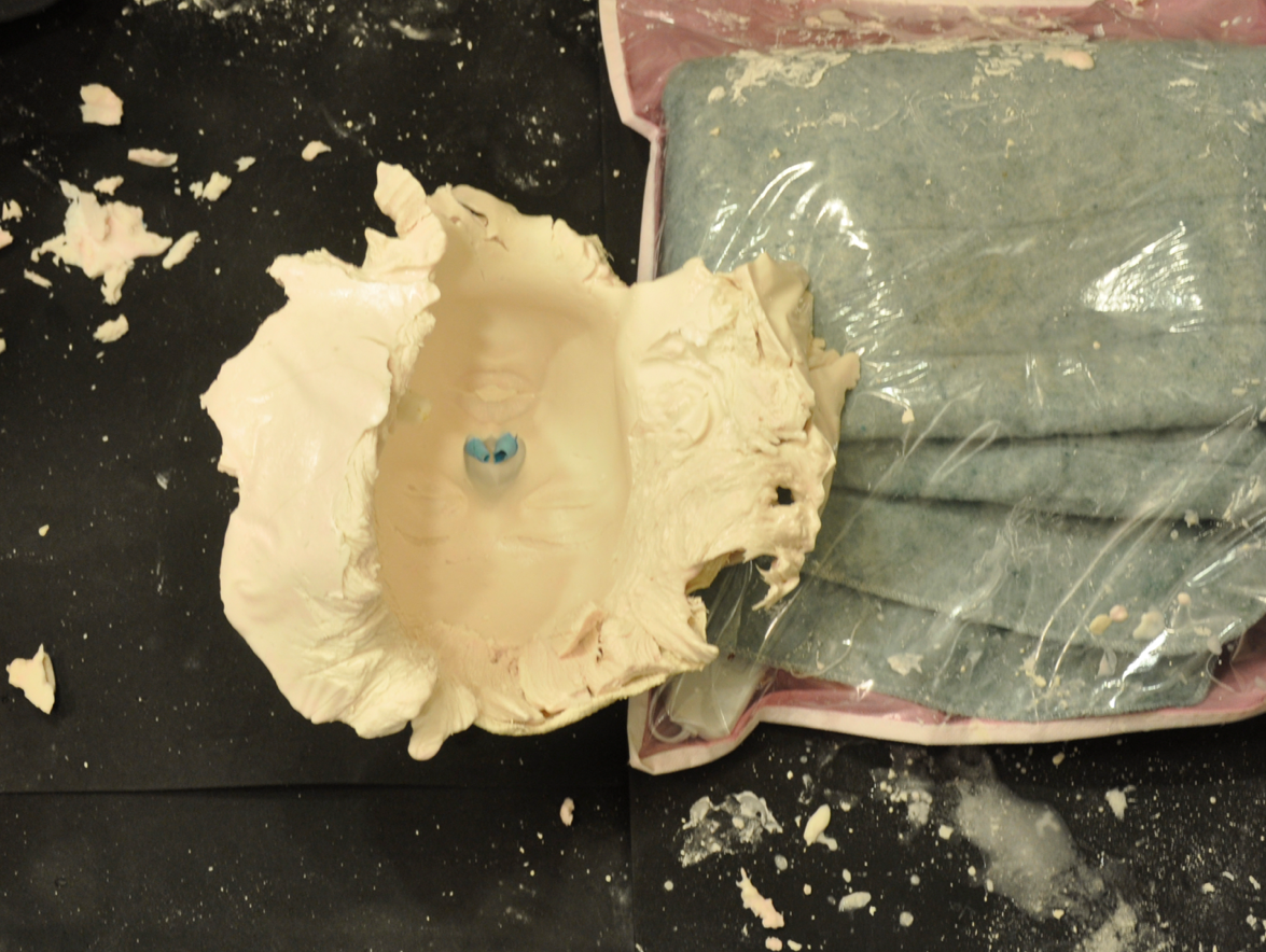 Alginate Mold - Face : 6 Steps (with Pictures) - Instructables