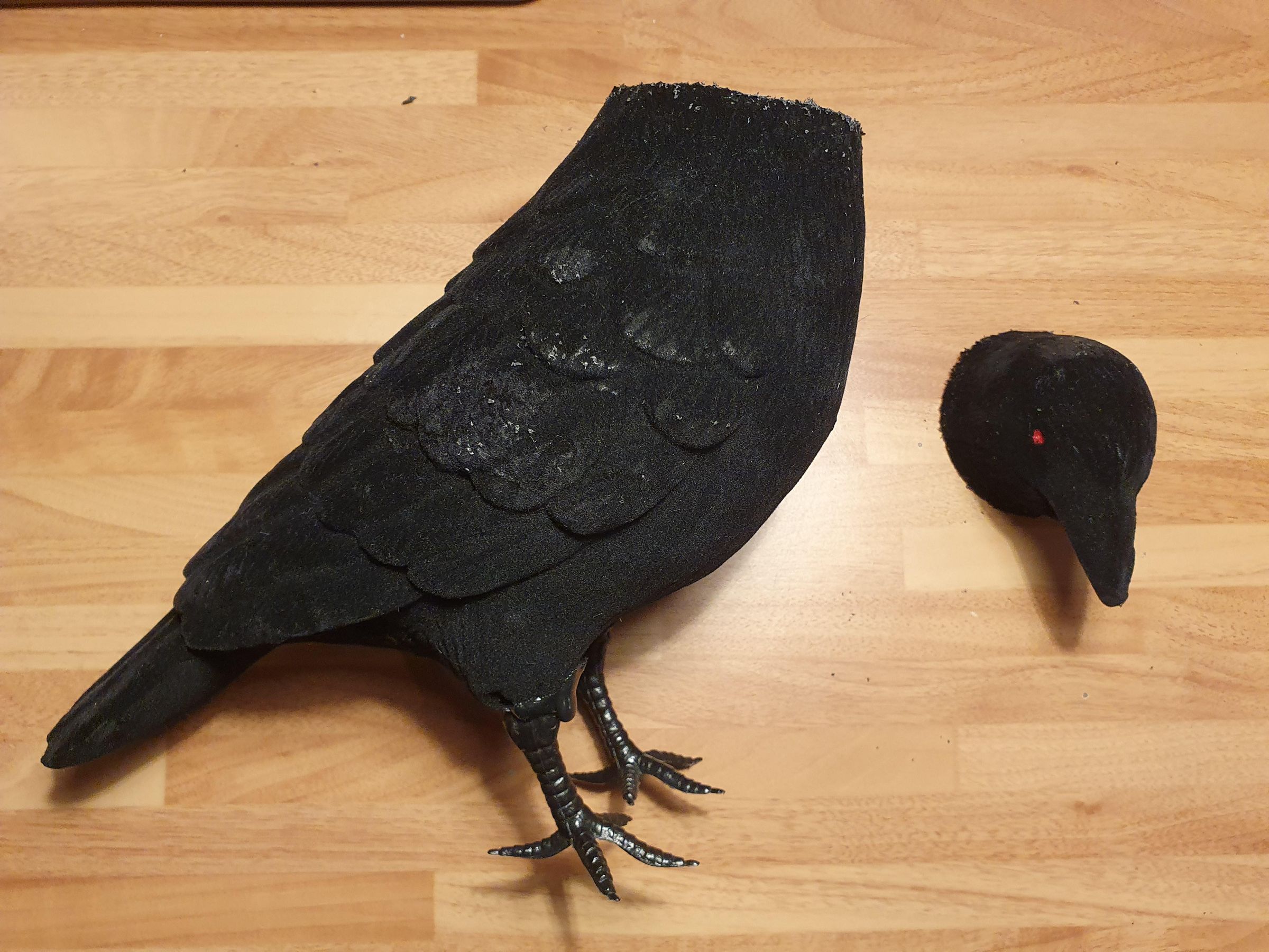 Raven Pi Security Camera : 7 Steps (with Pictures) - Instructables