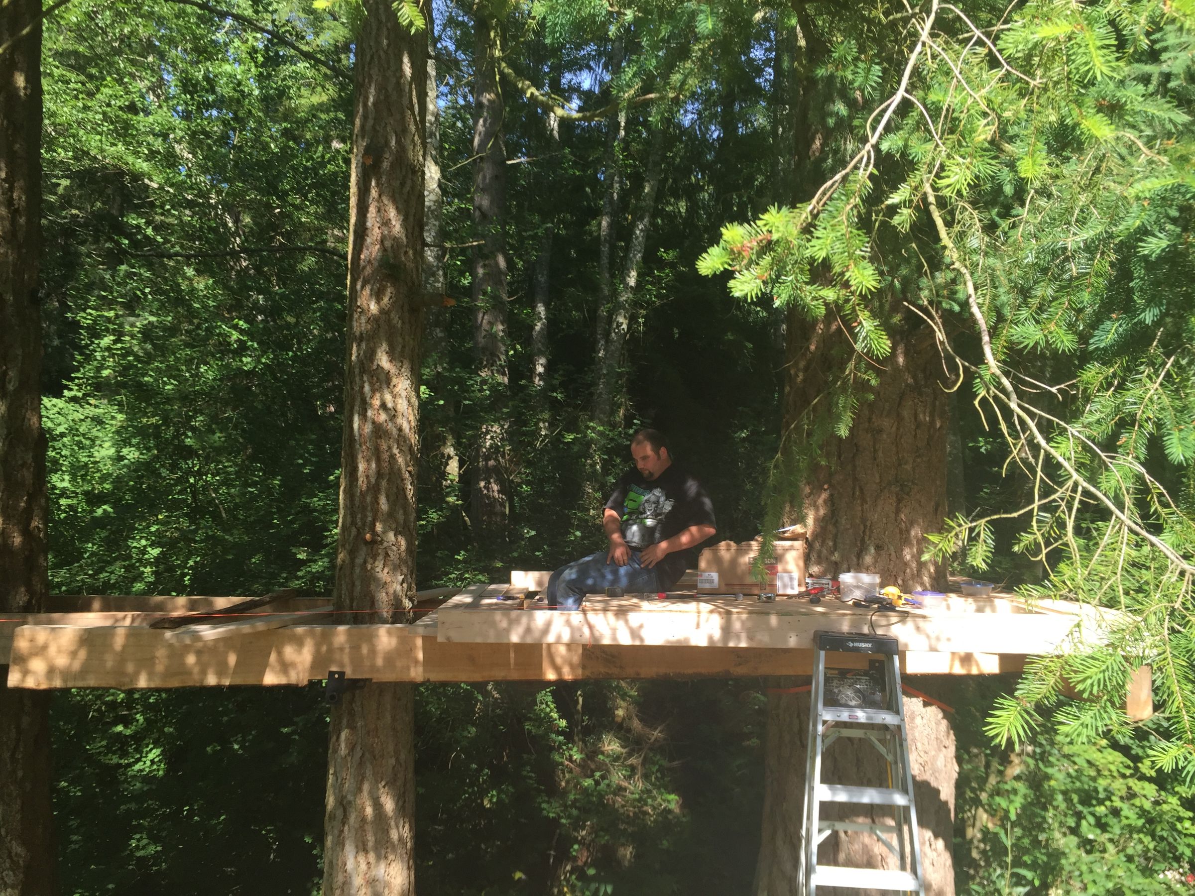 Treehouse Build : 10 Steps (with Pictures) - Instructables
