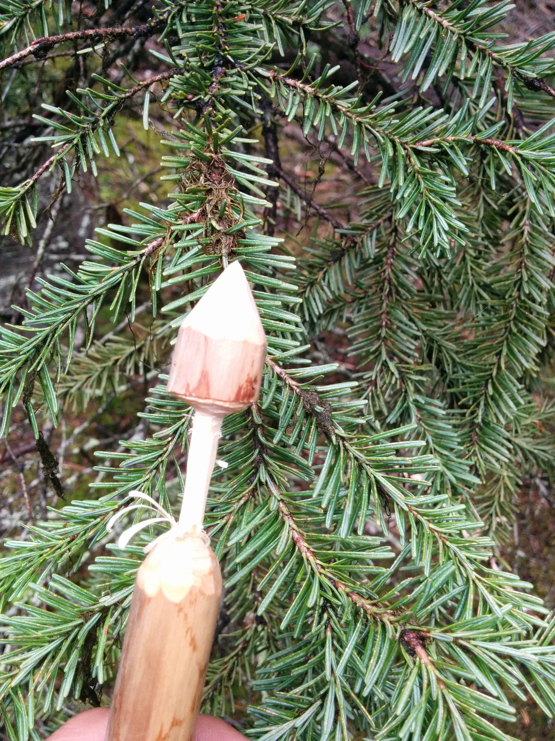 Hand Carved Spinning Top : 6 Steps (with Pictures) - Instructables