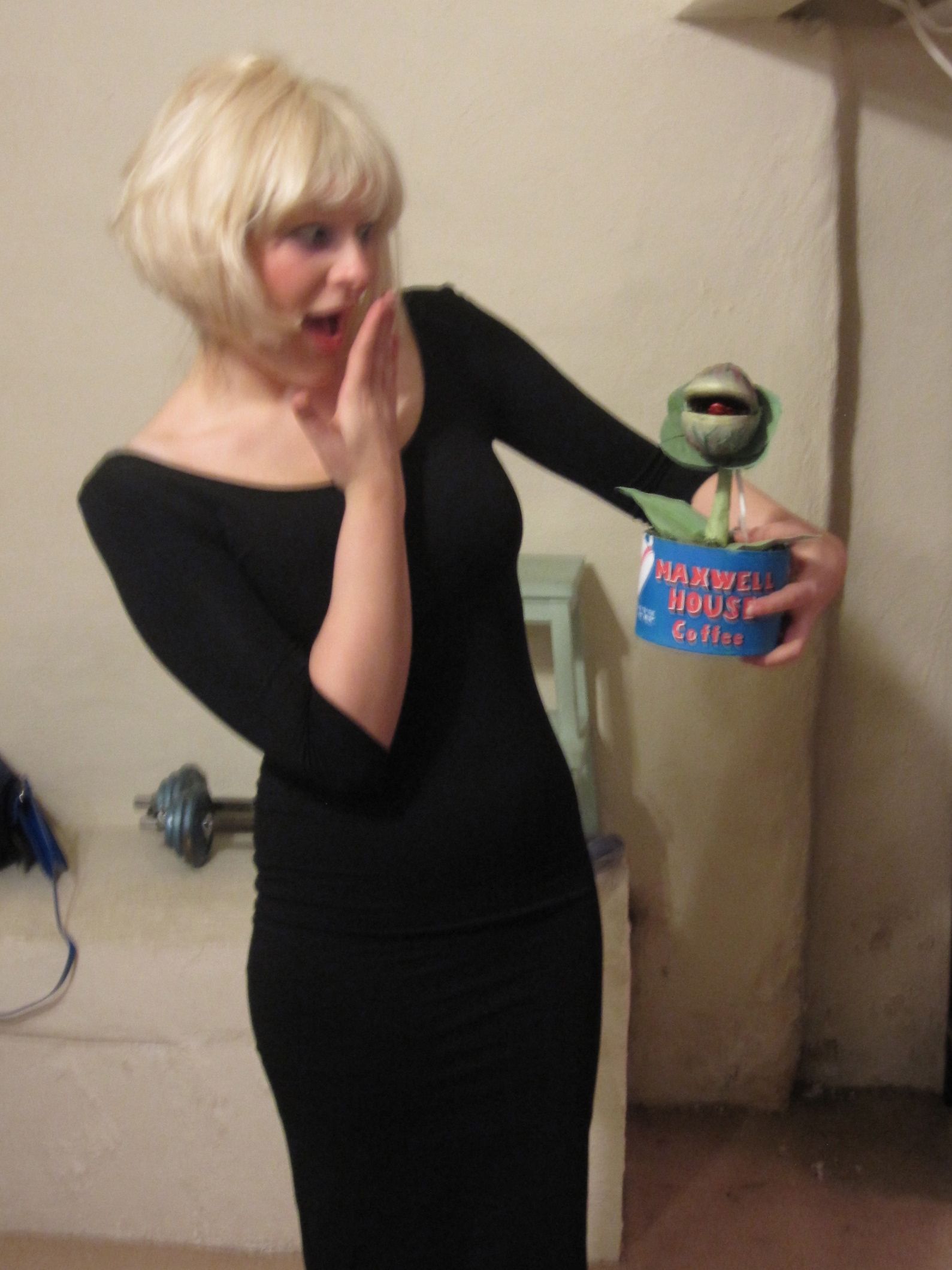 Audrey and Audrey II Costume (Little Shop of Horrors) (with Pictures ...