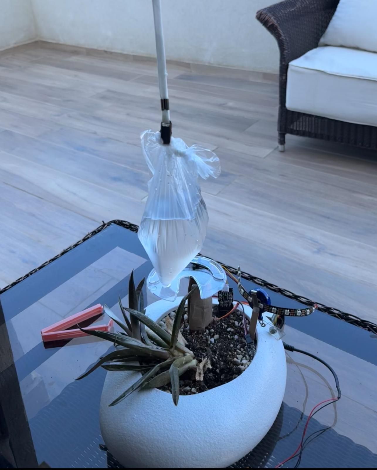 Automated Plant Care System for Frequent Travelers : 6 Steps ...