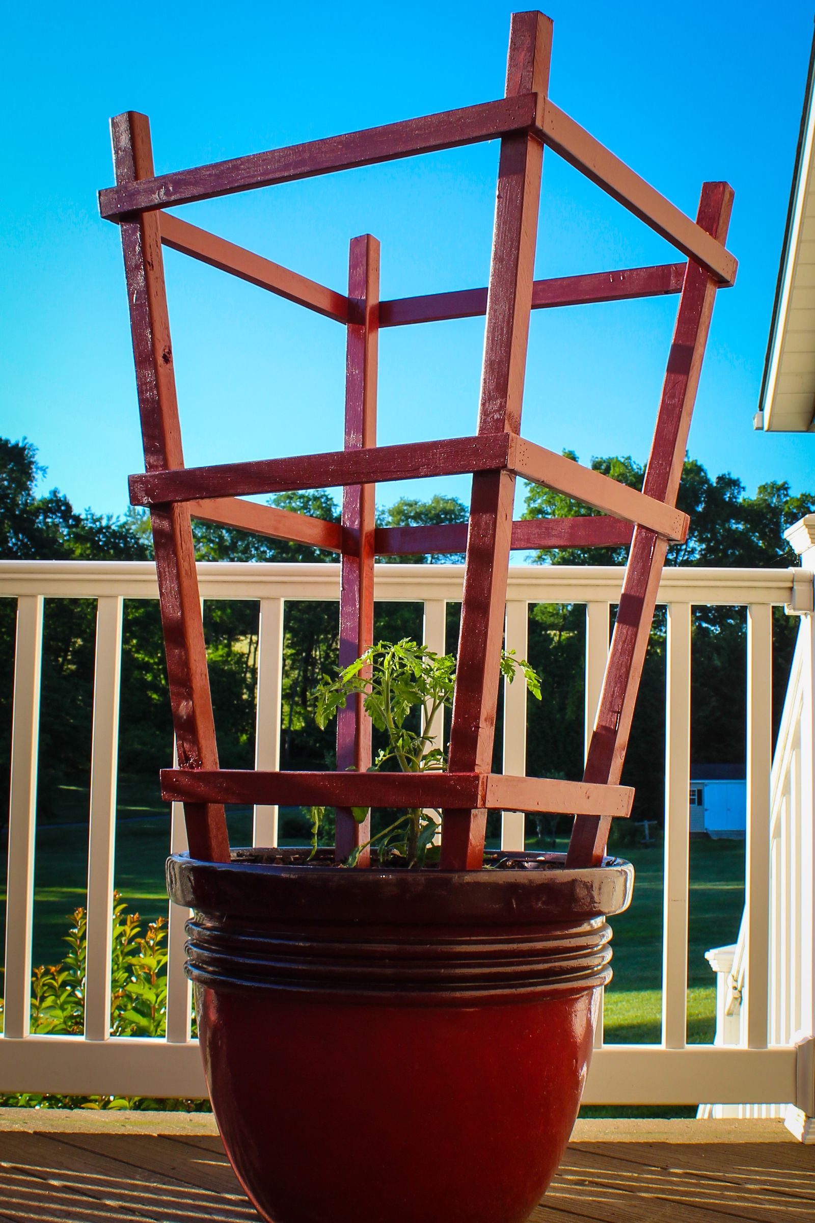 Obelisk Trellis for Garden : 9 Steps (with Pictures) - Instructables