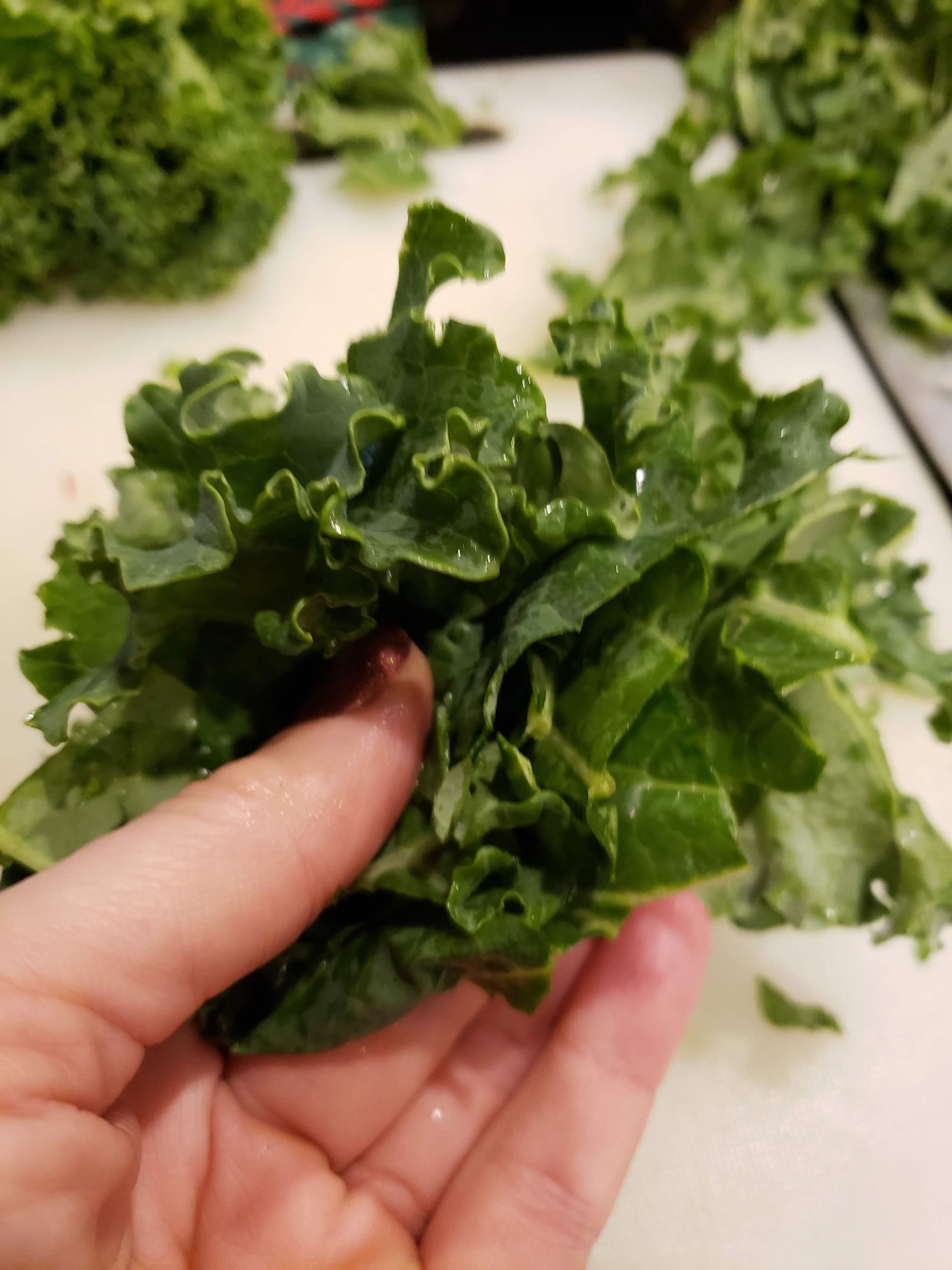 Christmas Tree Salad : 6 Steps - Instructables