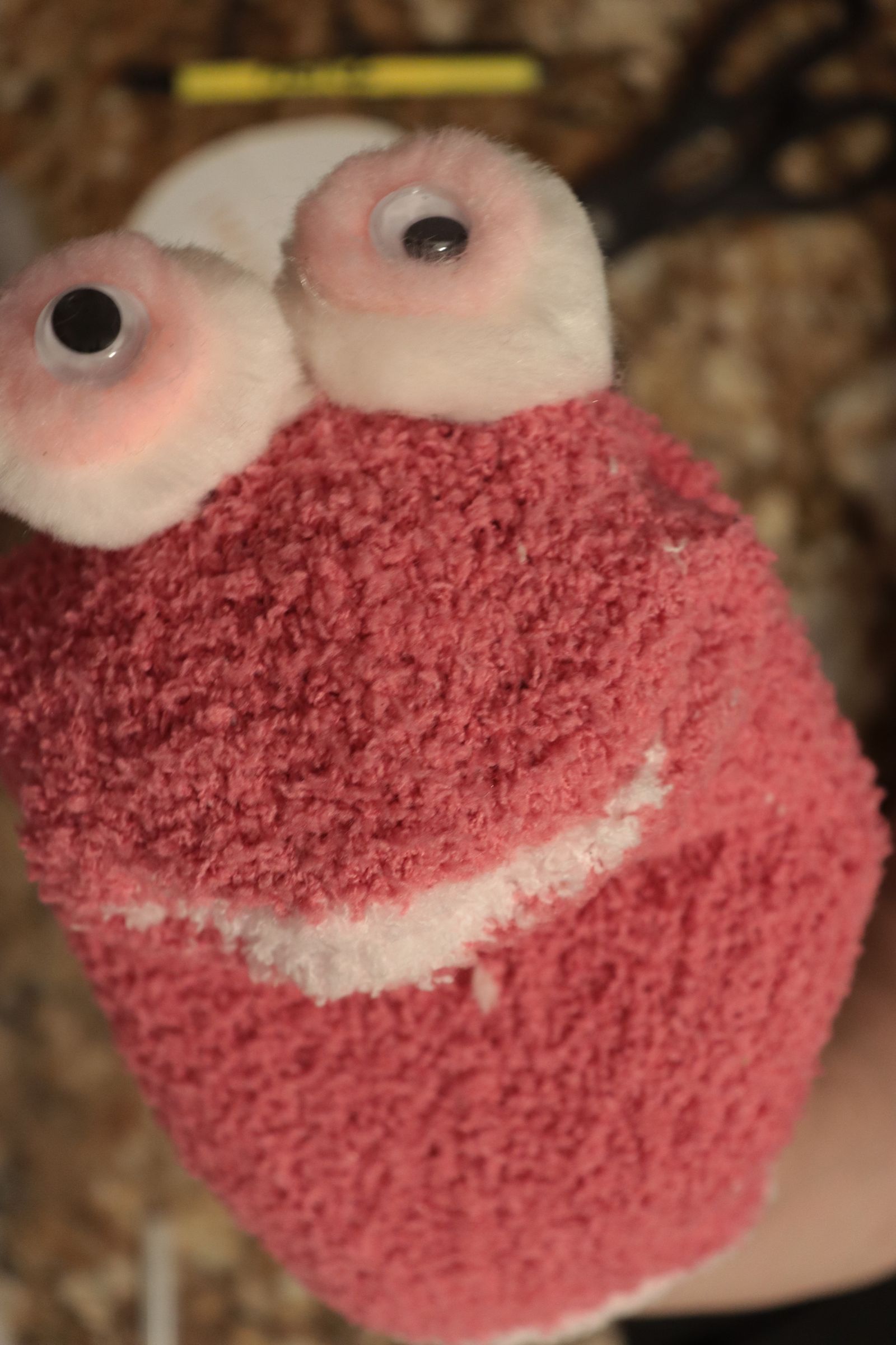 Sock Puppet! : 9 Steps (with Pictures) - Instructables