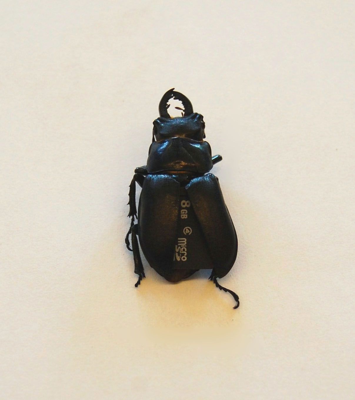 Gigabeetle (Dead Drop Beetle) : 3 Steps (with Pictures) - Instructables
