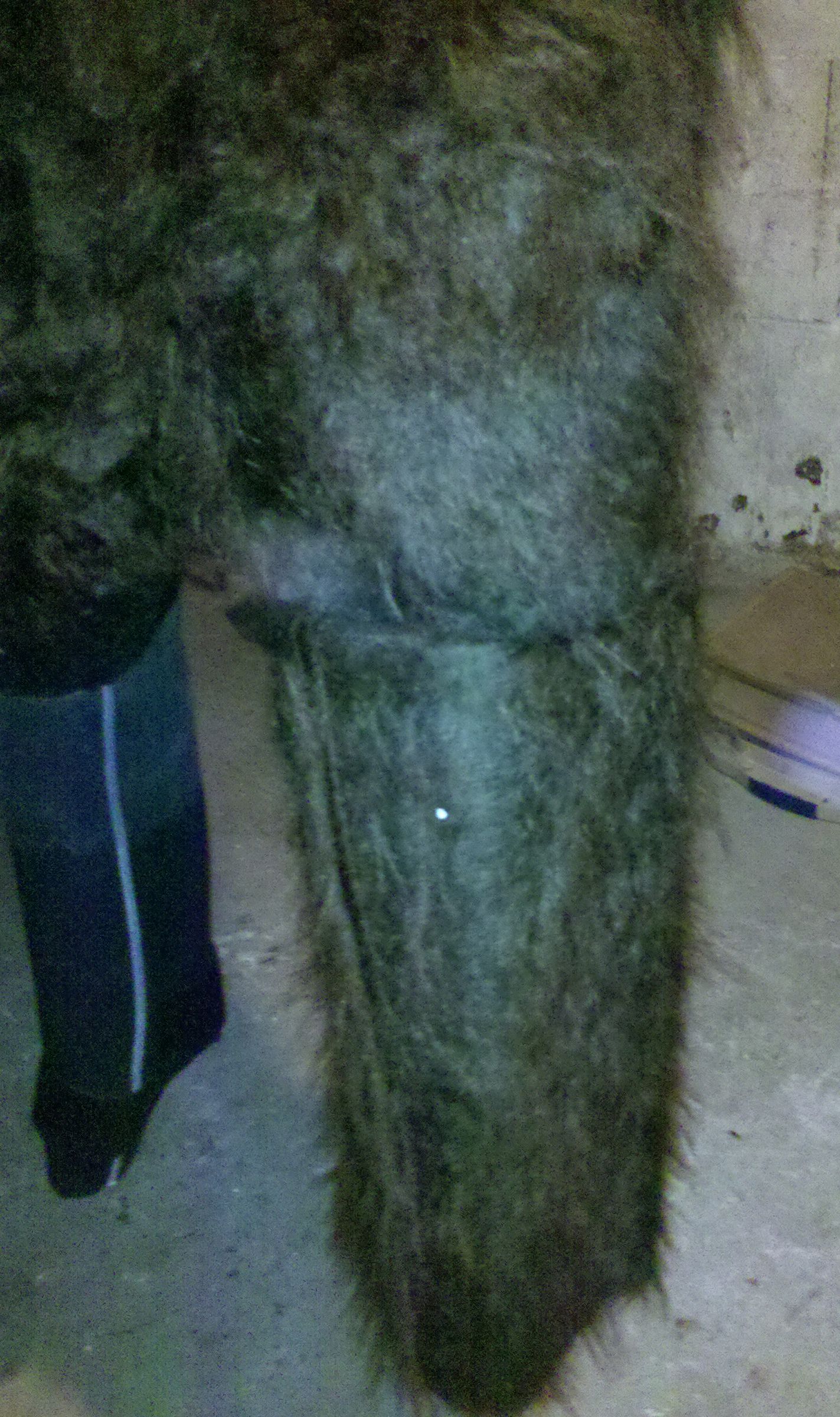 "Creature Reacher" 9 Ft Werewolf Monster Costume : 5 Steps (with ...