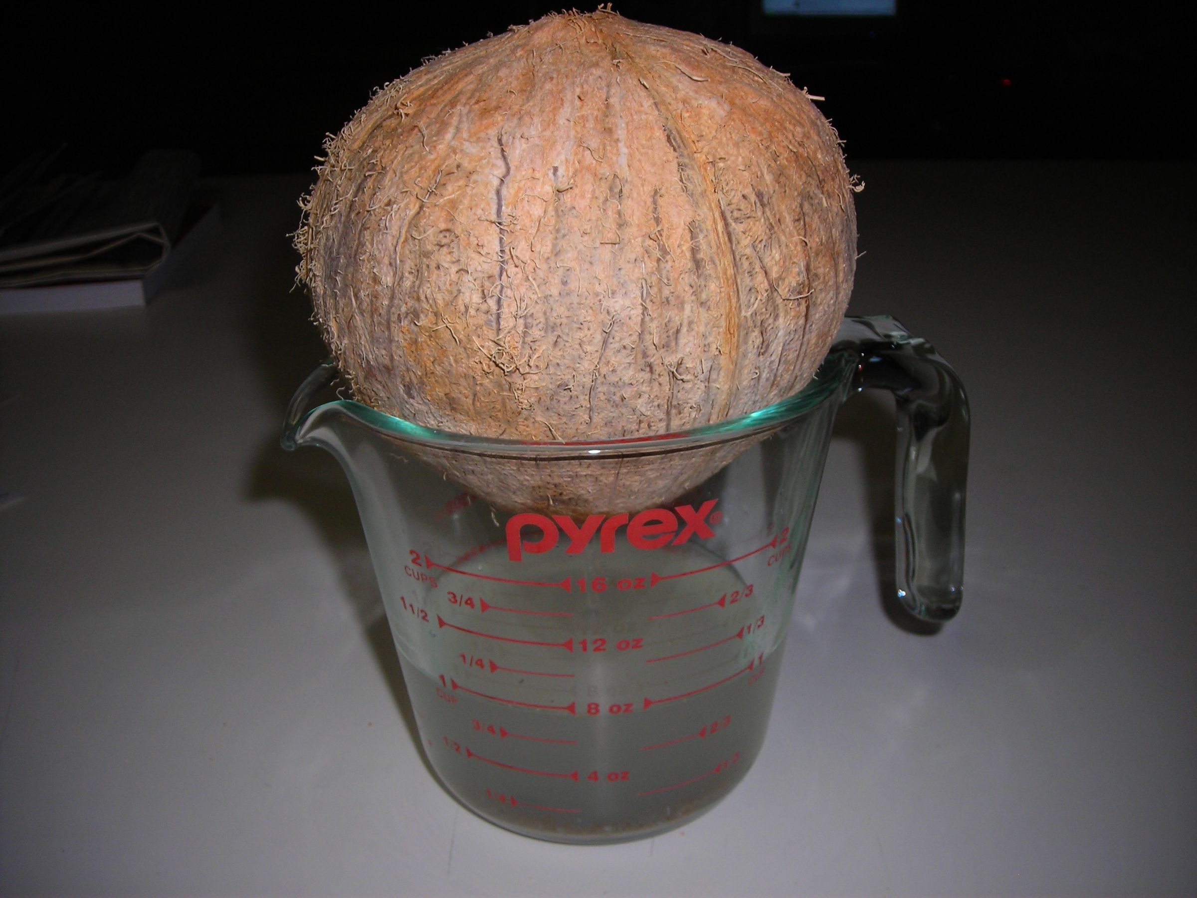 How To: Coconut Bowl : 5 Steps (with Pictures) - Instructables