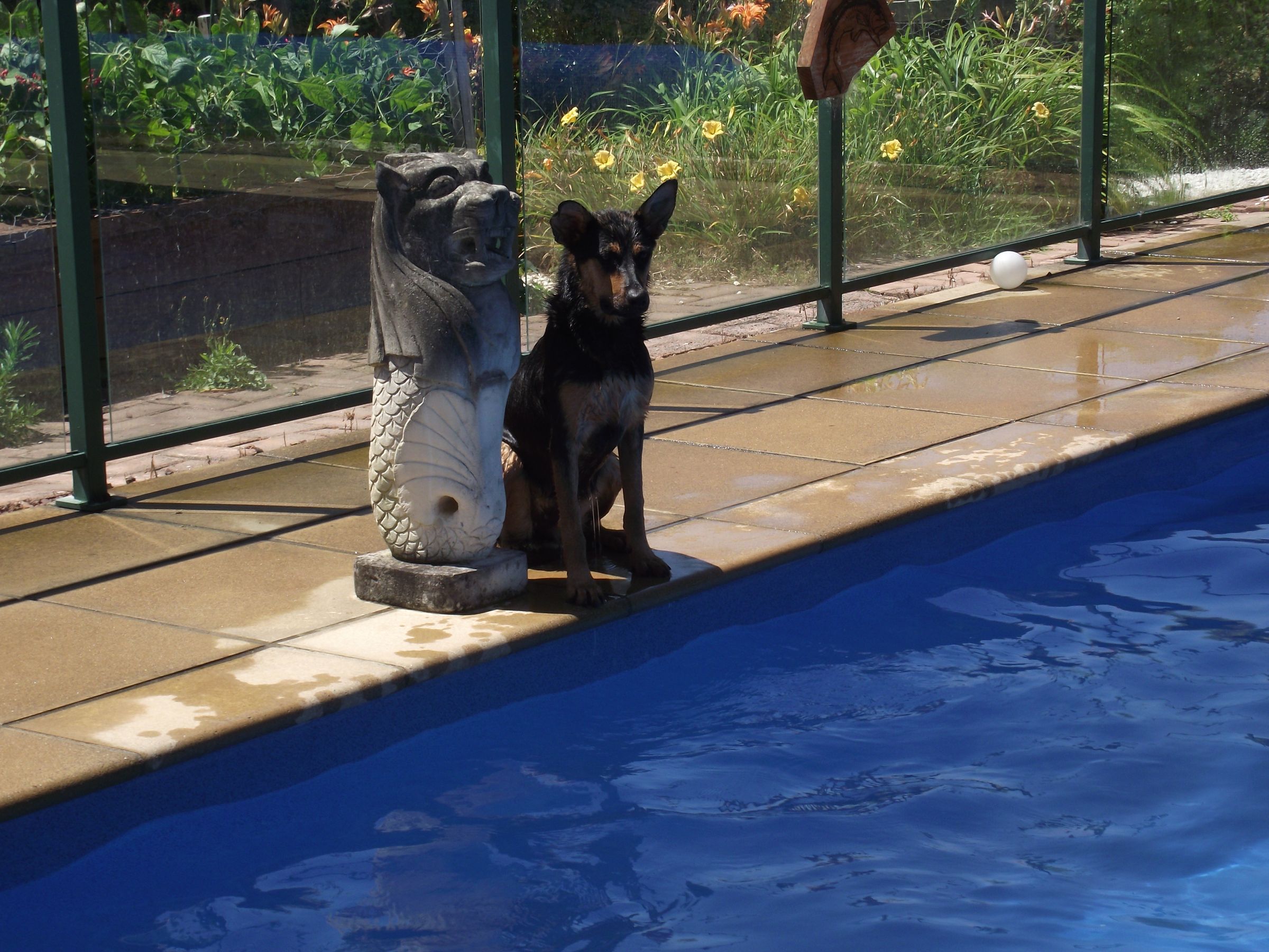 Dog Agility Table : 12 Steps (with Pictures) - Instructables