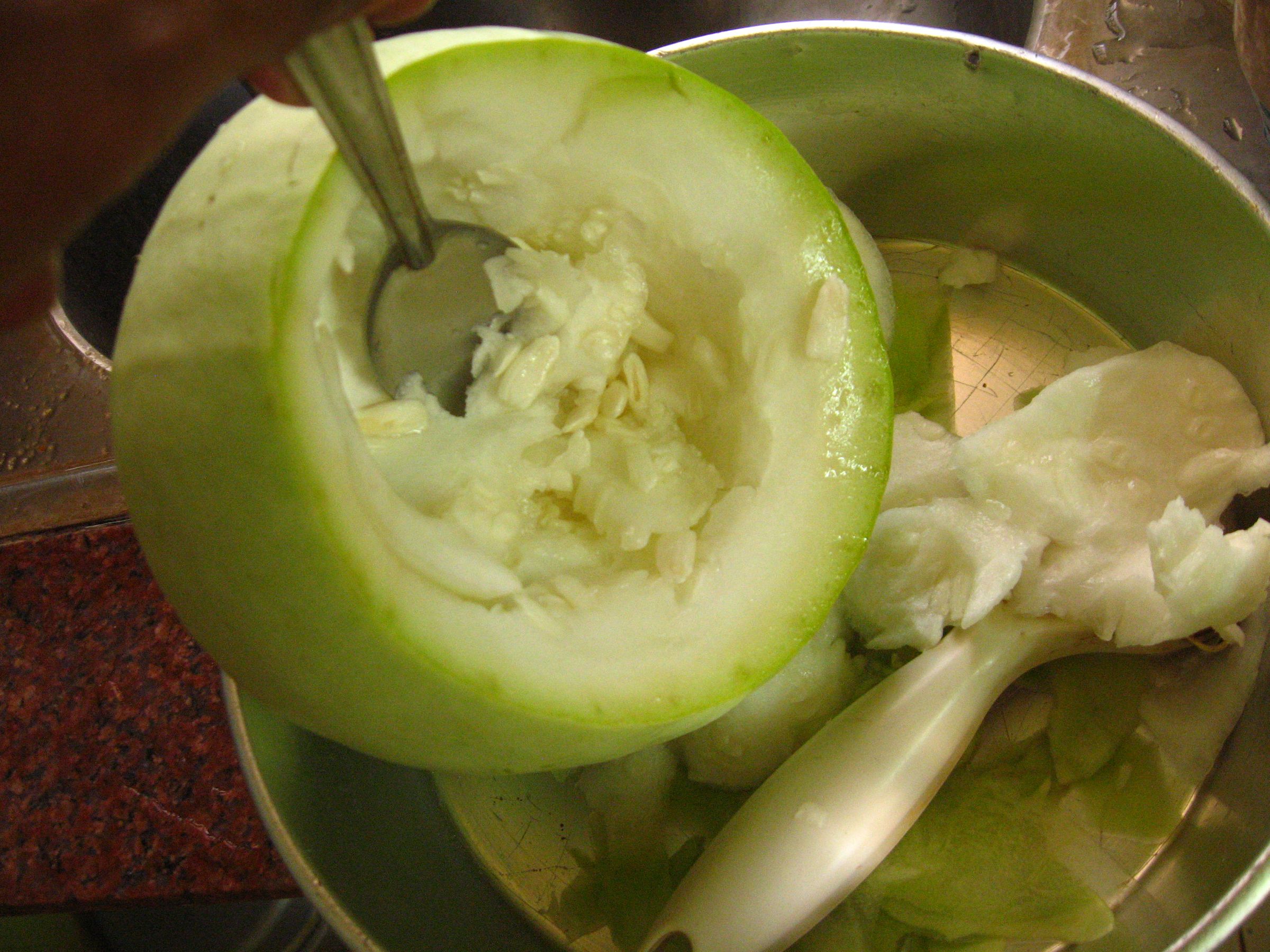 Seed Germination With Bottle Gourd Shell As Planter : 6 Steps (with ...