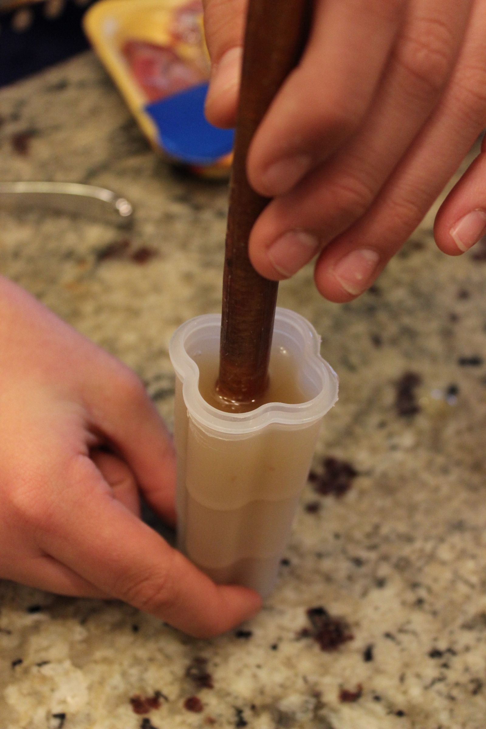 DIY Dog Popsicle - Instructables