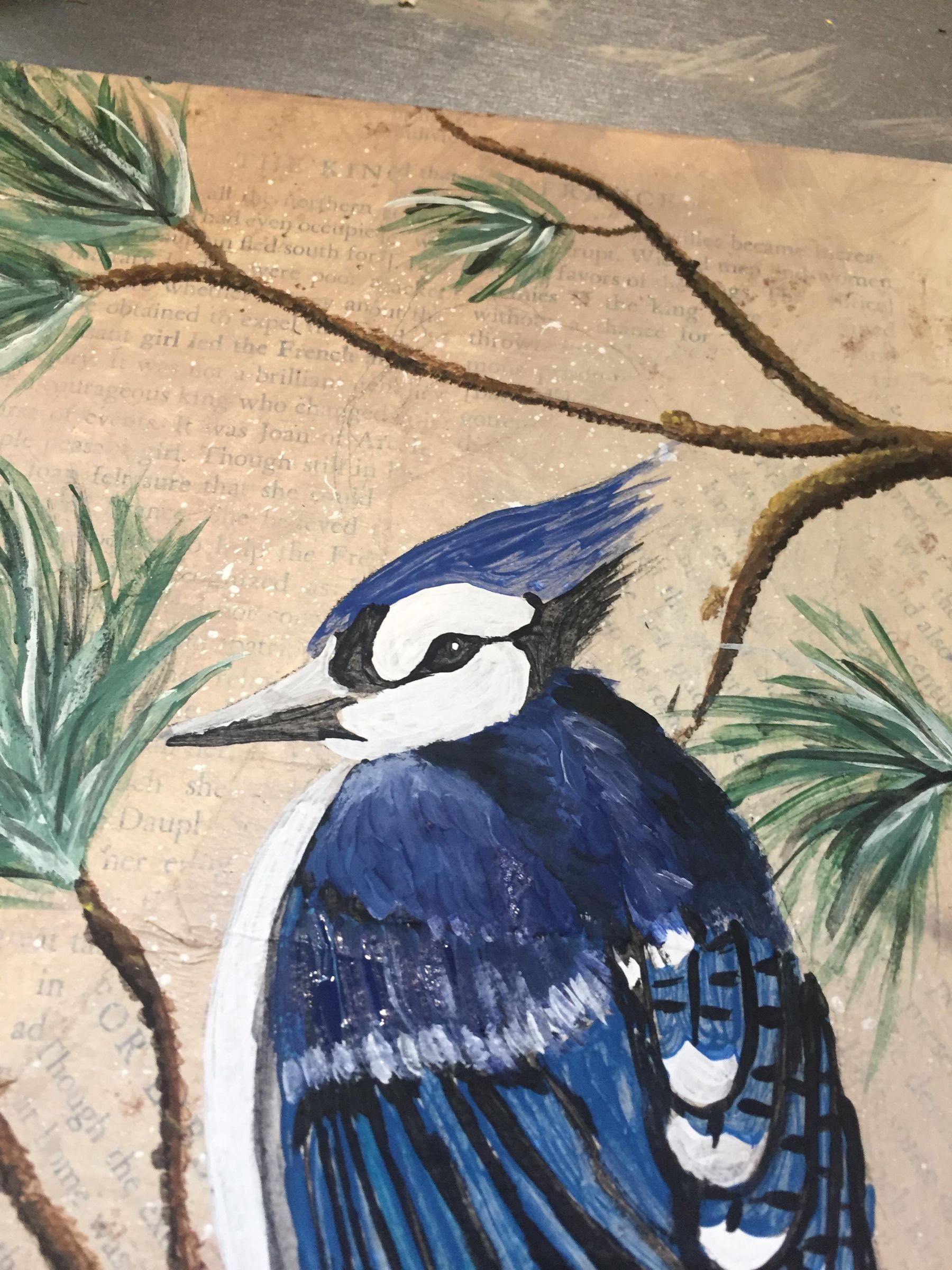 How to Paint a Blue Jay on a Branch. : 13 Steps (with Pictures ...