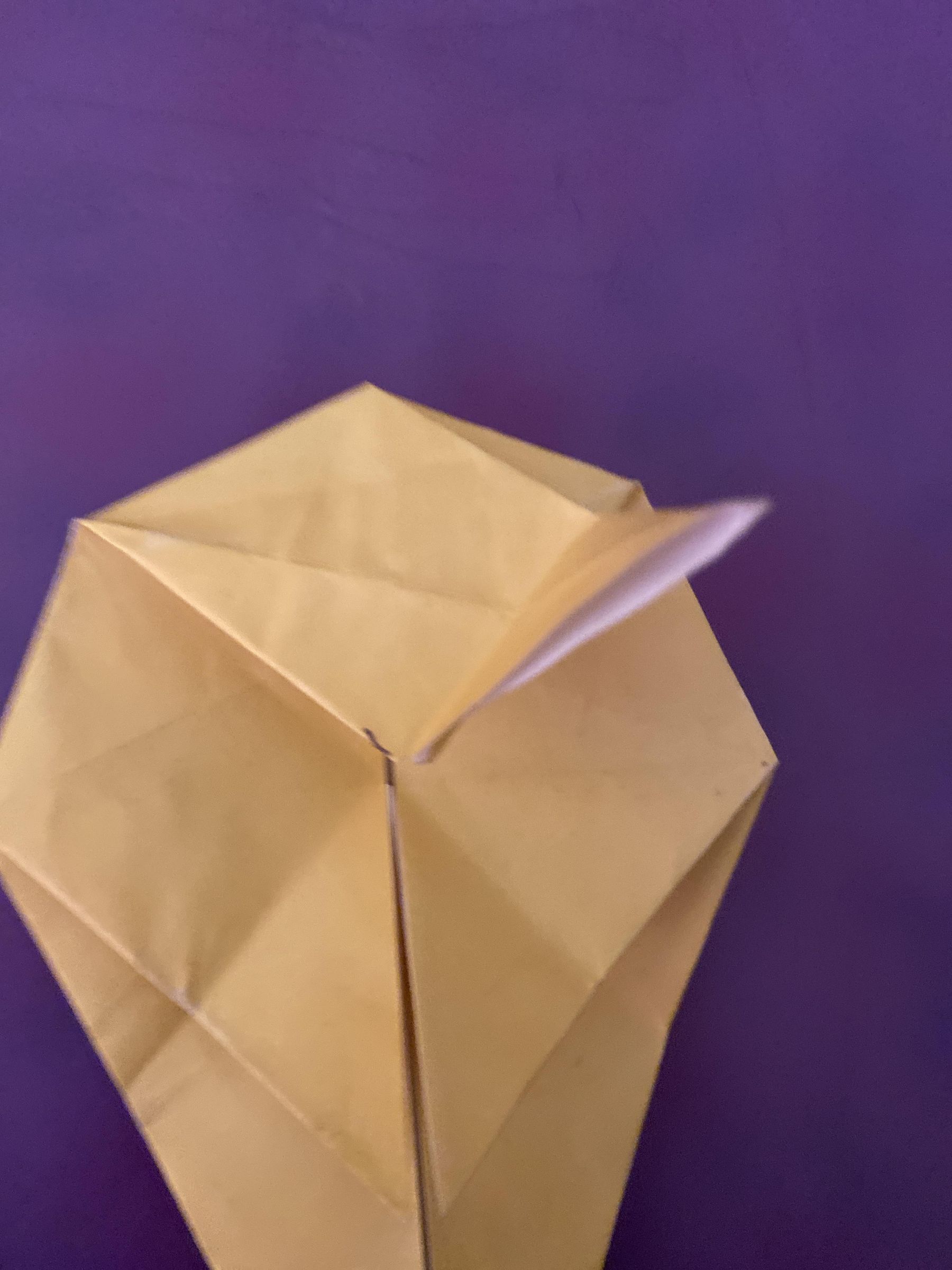 Origami Rat : 27 Steps - Instructables