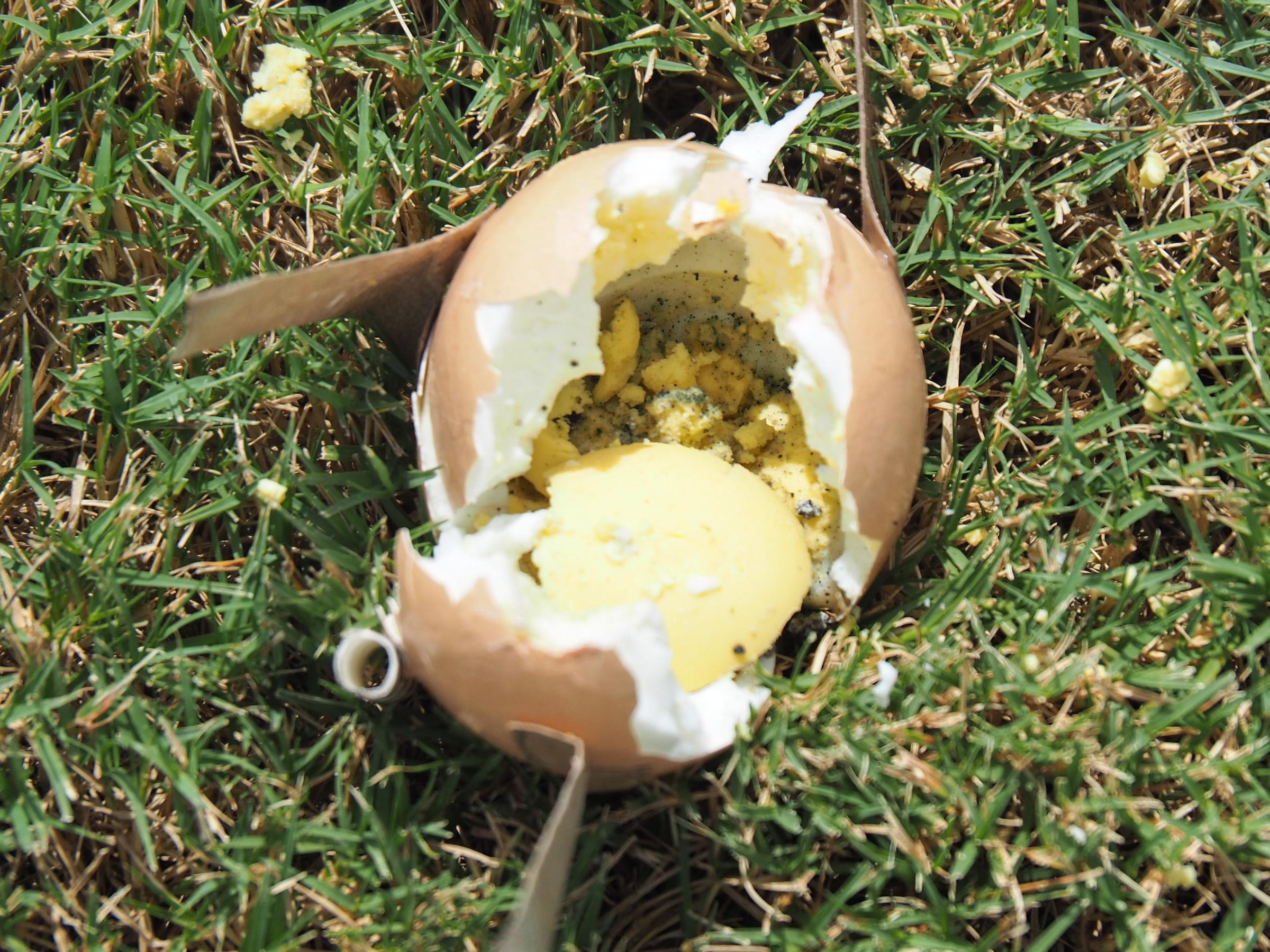 Eggs Up- How to Make and Launch a Rocket Egg : 8 Steps - Instructables