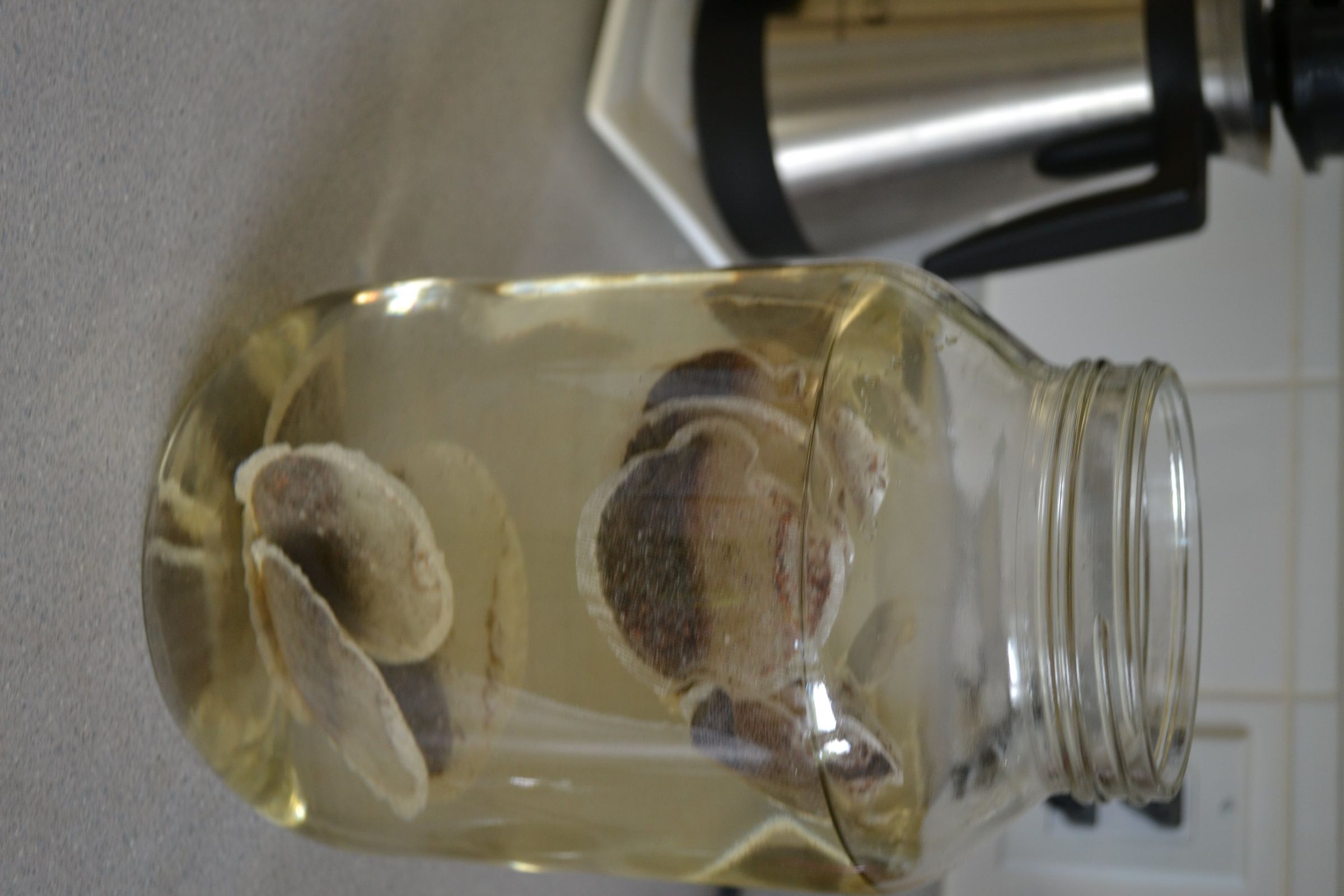 Homemade Sun Tea : 4 Steps (with Pictures) - Instructables