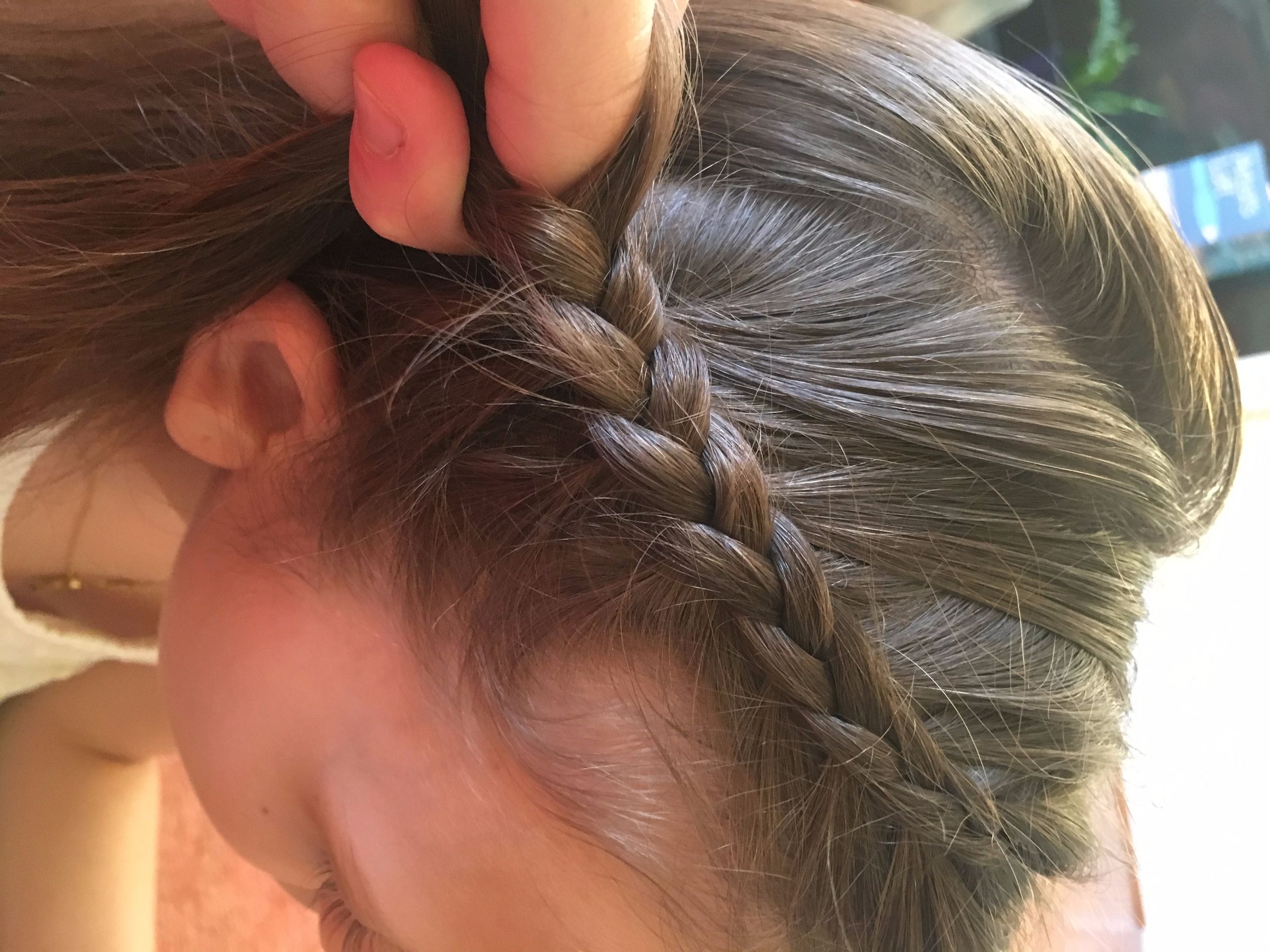 Dutch Flower Braid : 6 Steps (with Pictures) - Instructables