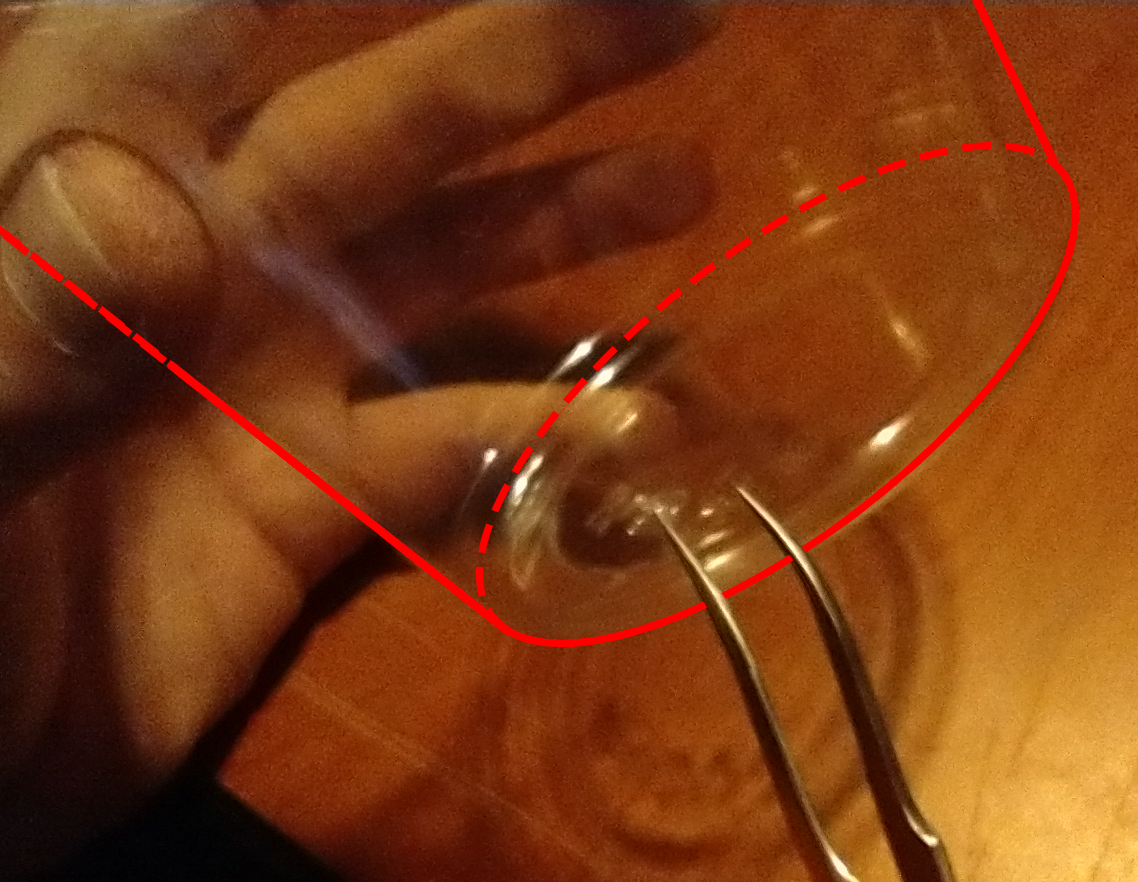 Perfect Praying Mantis Cups : 9 Steps (with Pictures) - Instructables