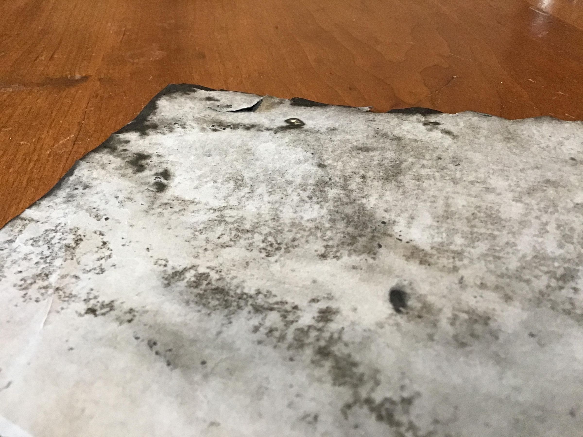 DIY Parchment Paper: Two Different Types : 7 Steps (with Pictures ...