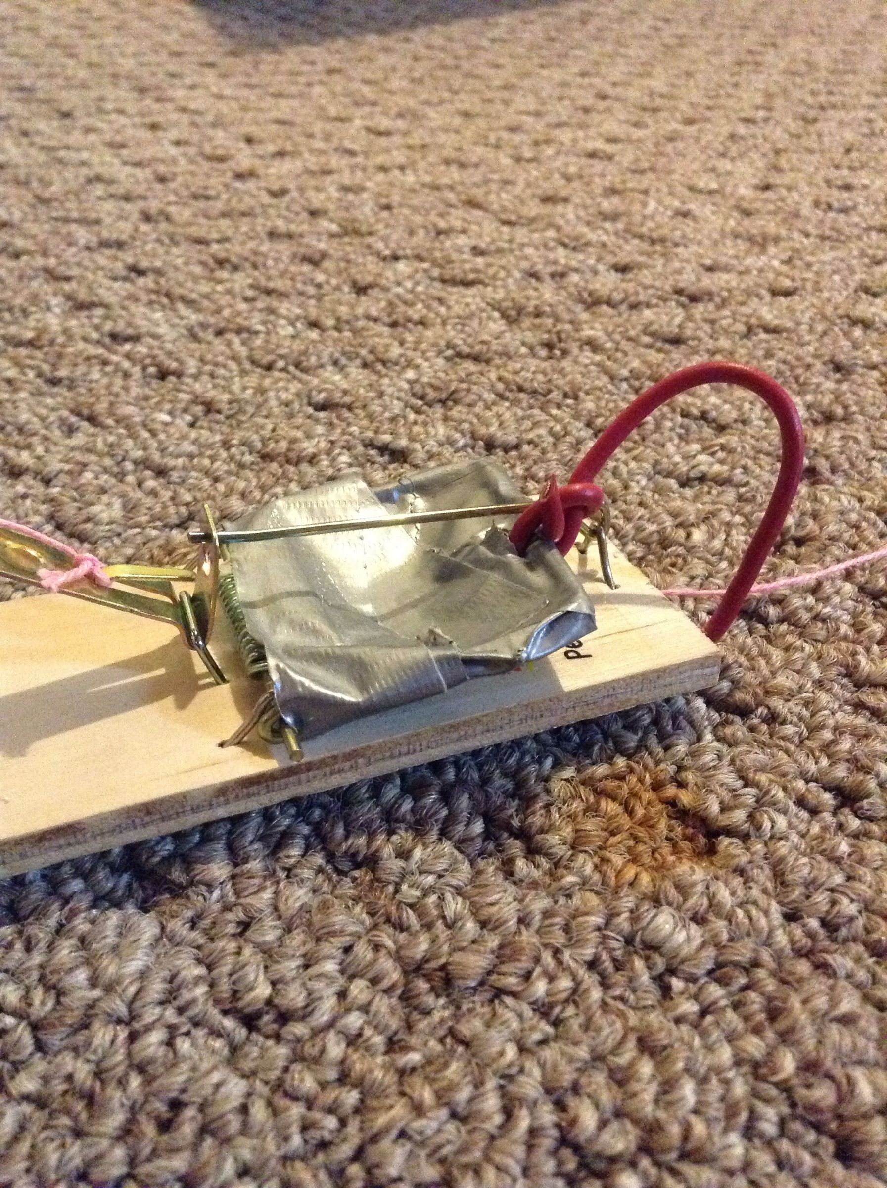 Catapult Mouse Trap : 5 Steps - Instructables