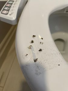 Fix a Broken Bidet Toilet Seat With Potential Design Flaw : 4 Steps ...