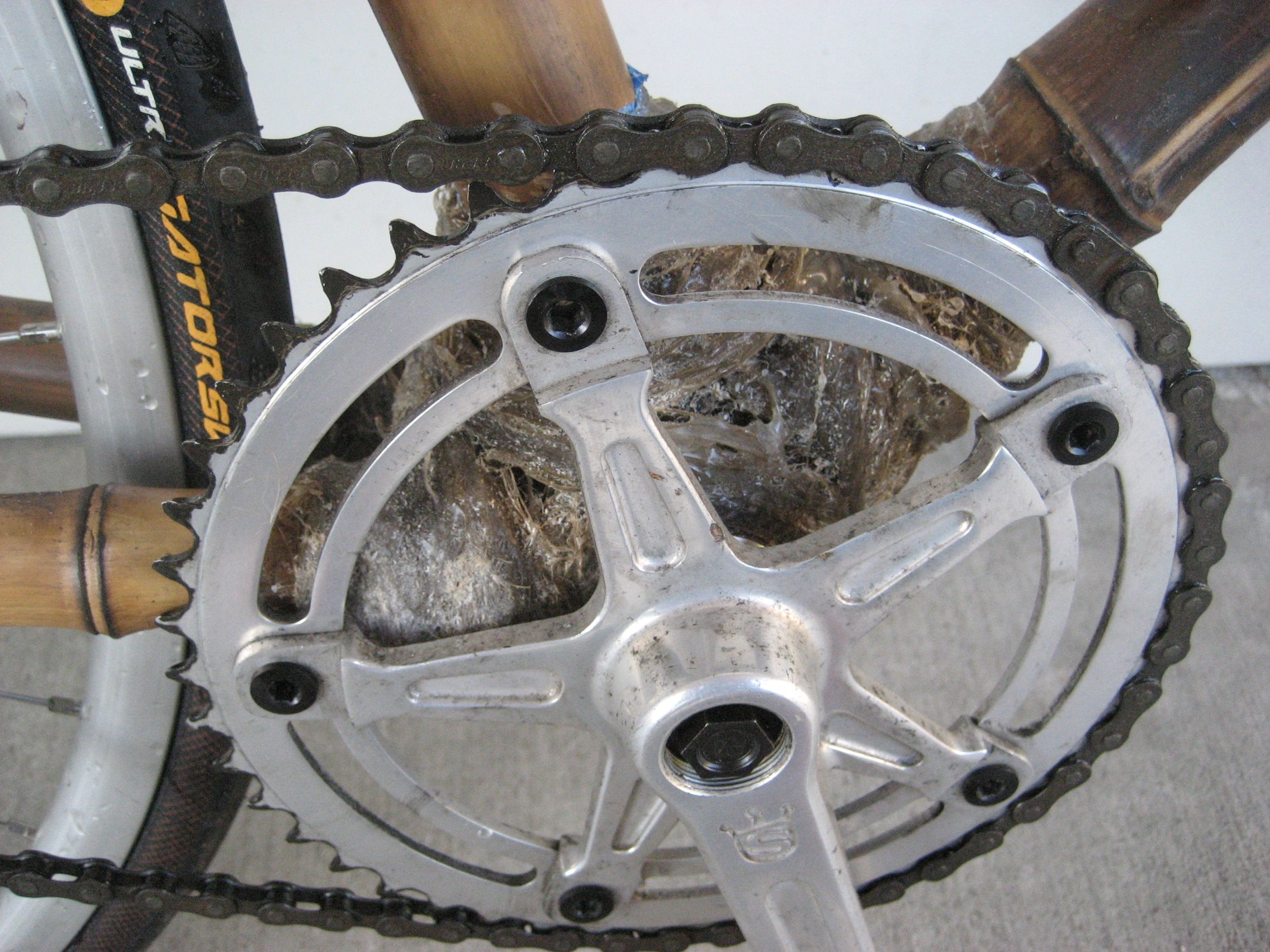 How to Build a Bamboo Bicycle : 8 Steps (with Pictures) - Instructables