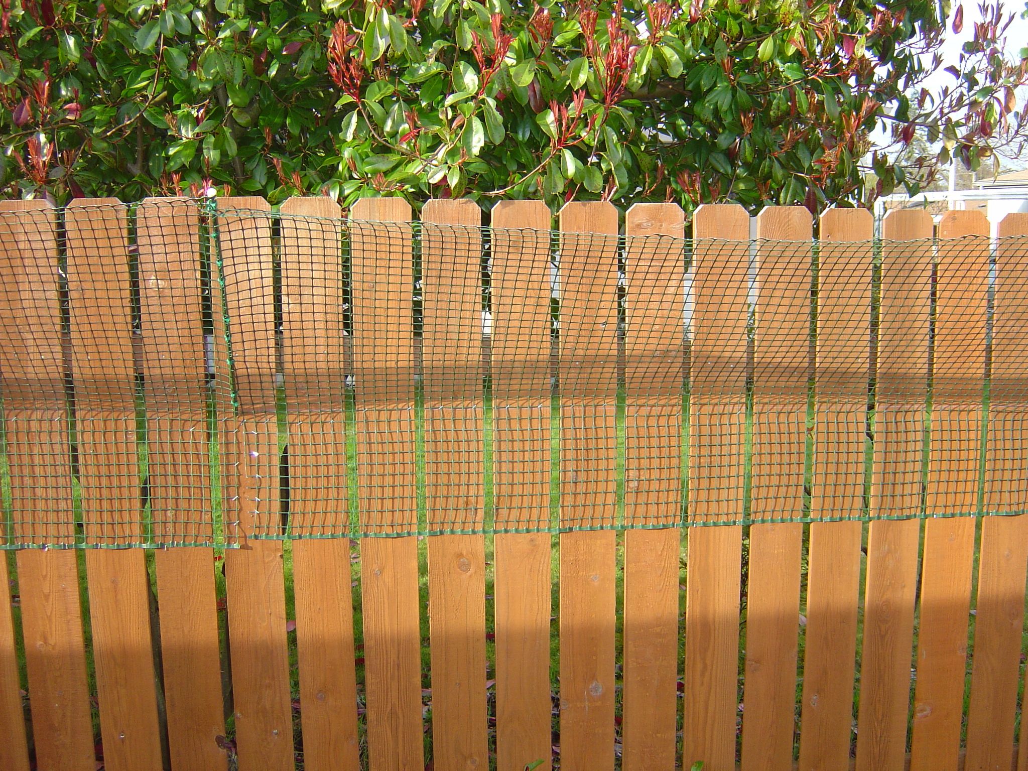 Catproof Your Yard : 8 Steps (with Pictures) - Instructables
