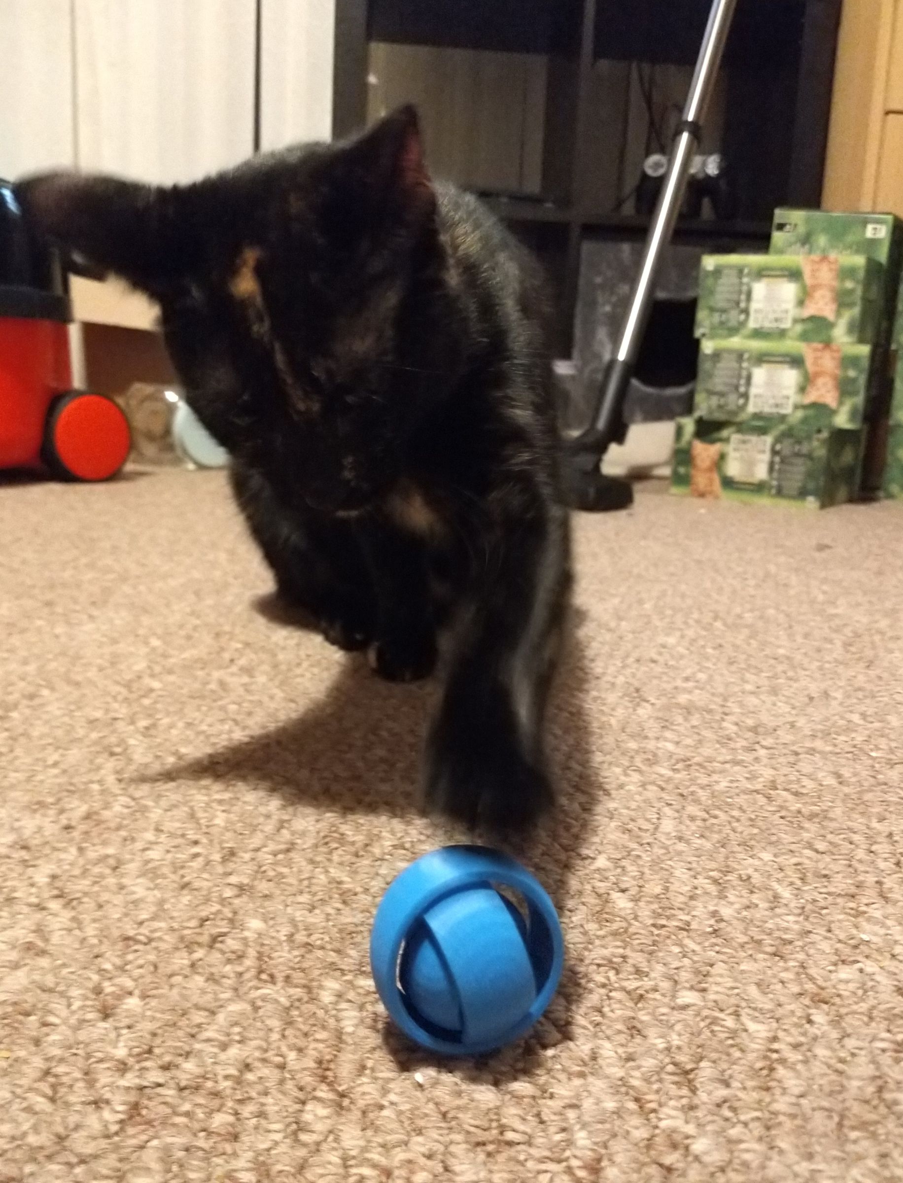 Parametric Gyroscope and Robot Made With Tinkercad Codeblocks : 5 Steps ...