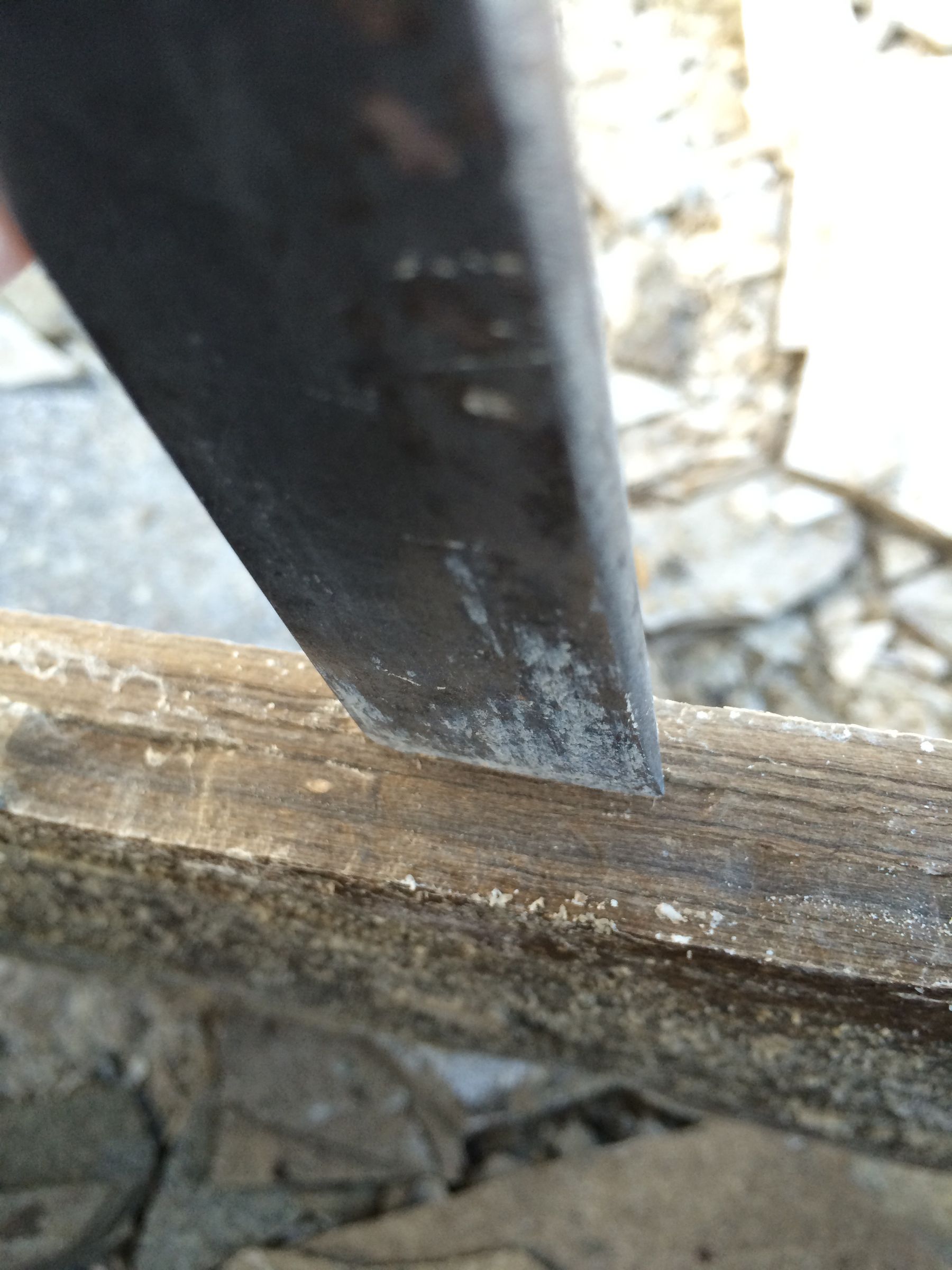 Split Limestone to Find Fossils!! : 4 Steps (with Pictures) - Instructables