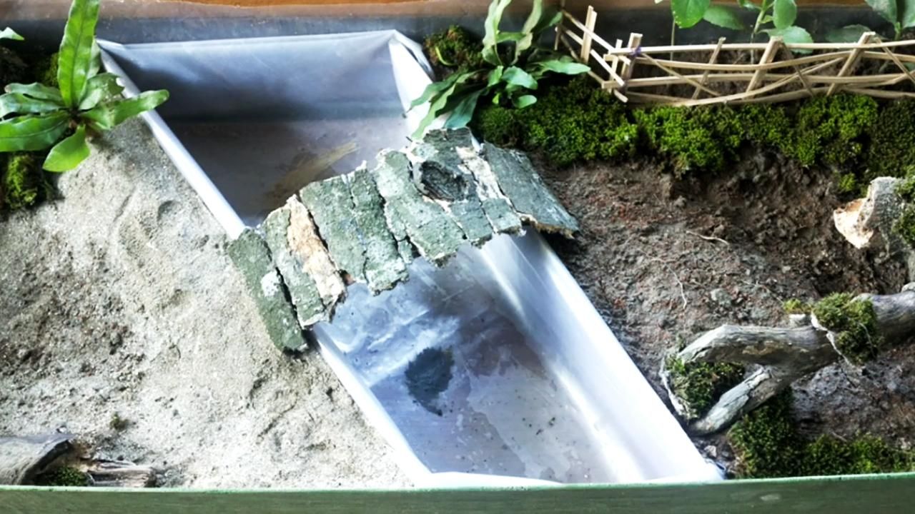 Turtle Habitat for Baby Turtles | Homemade Turtle Garden : 18 Steps ...