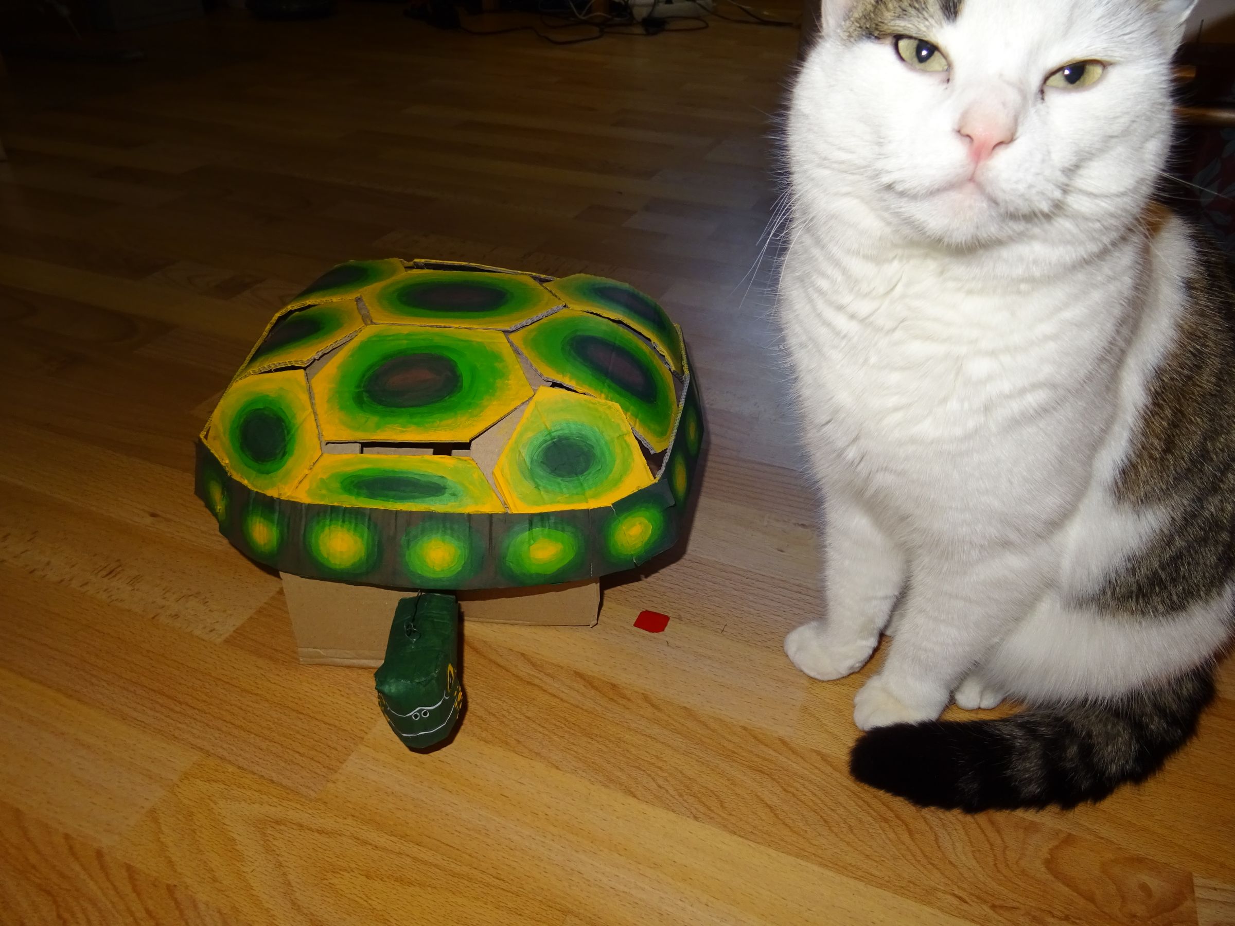 Turtles Wearing Raspberries