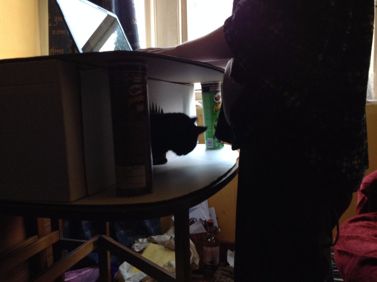 Cheap and Cheerful "CaTable" : 6 Steps (with Pictures) - Instructables