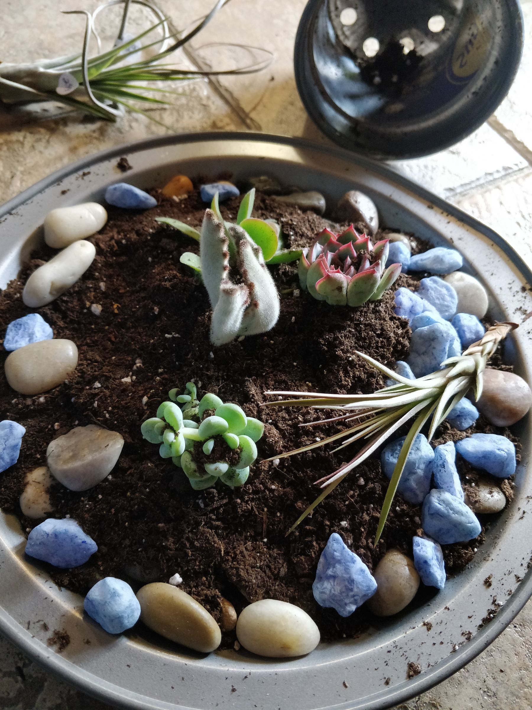 Planters From Kitchen Tools : 16 Steps (with Pictures) - Instructables