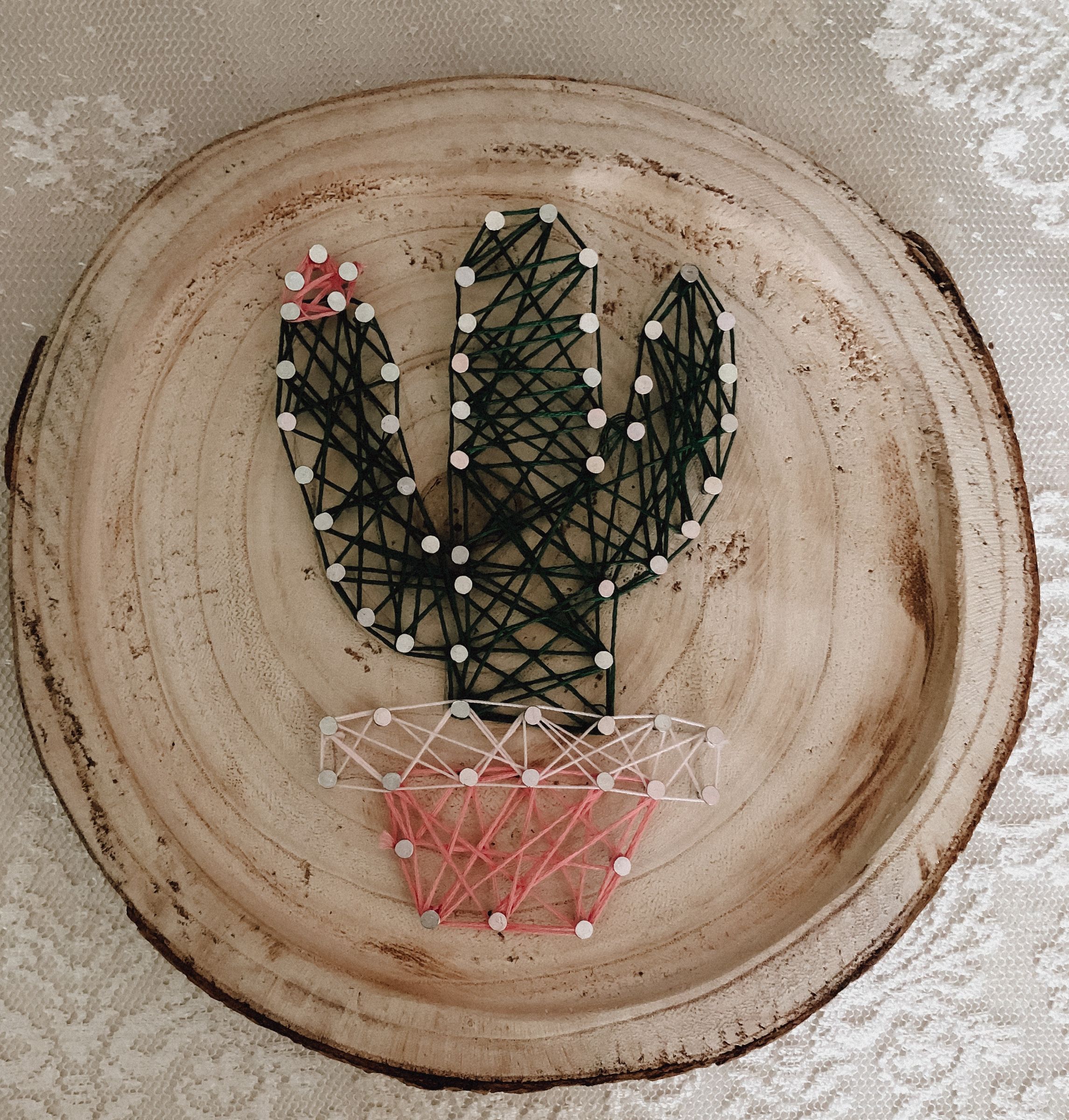String Art Cactus : 5 Steps (with Pictures) - Instructables