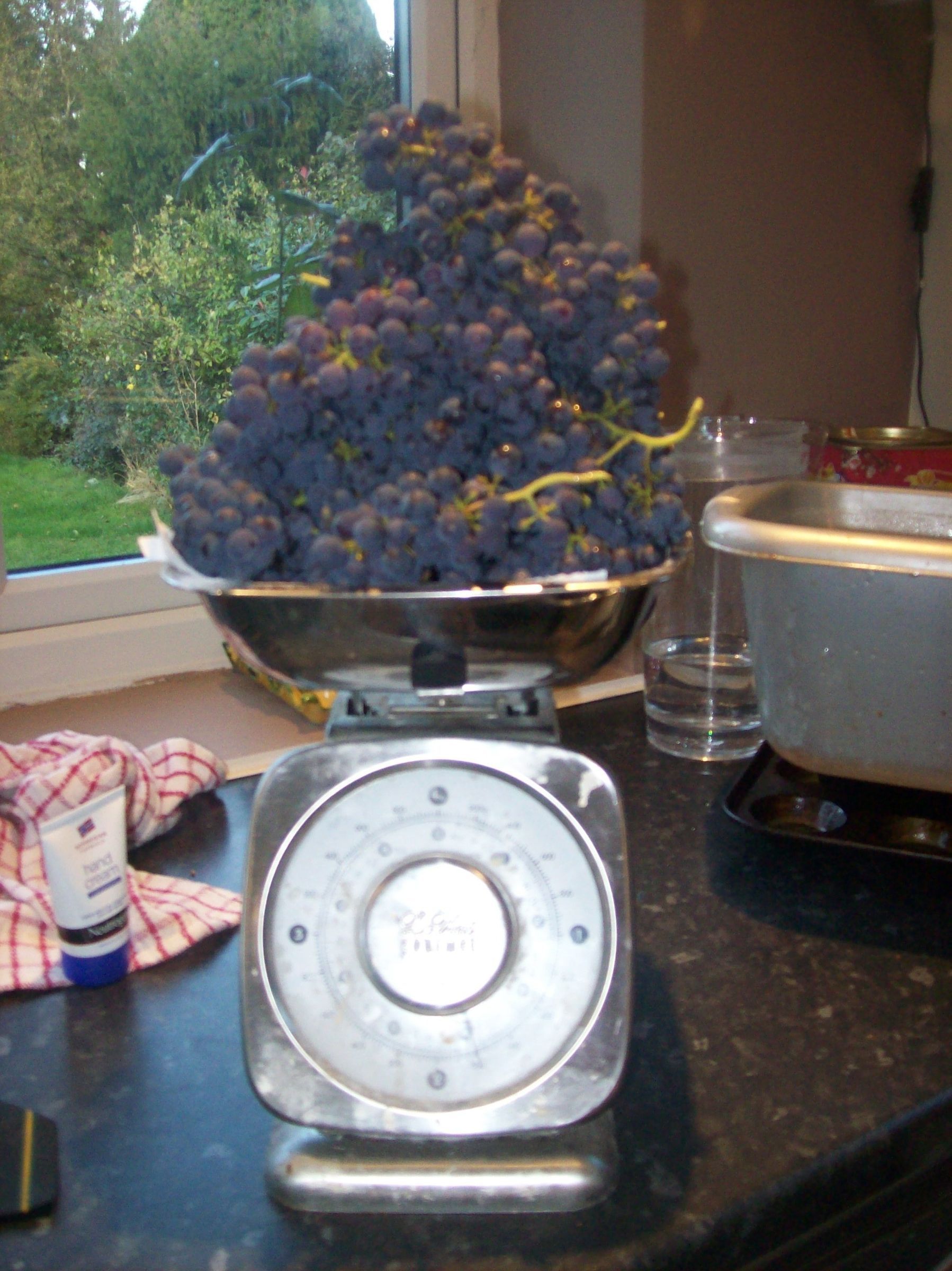 Homemade Grape Juice! : 8 Steps - Instructables