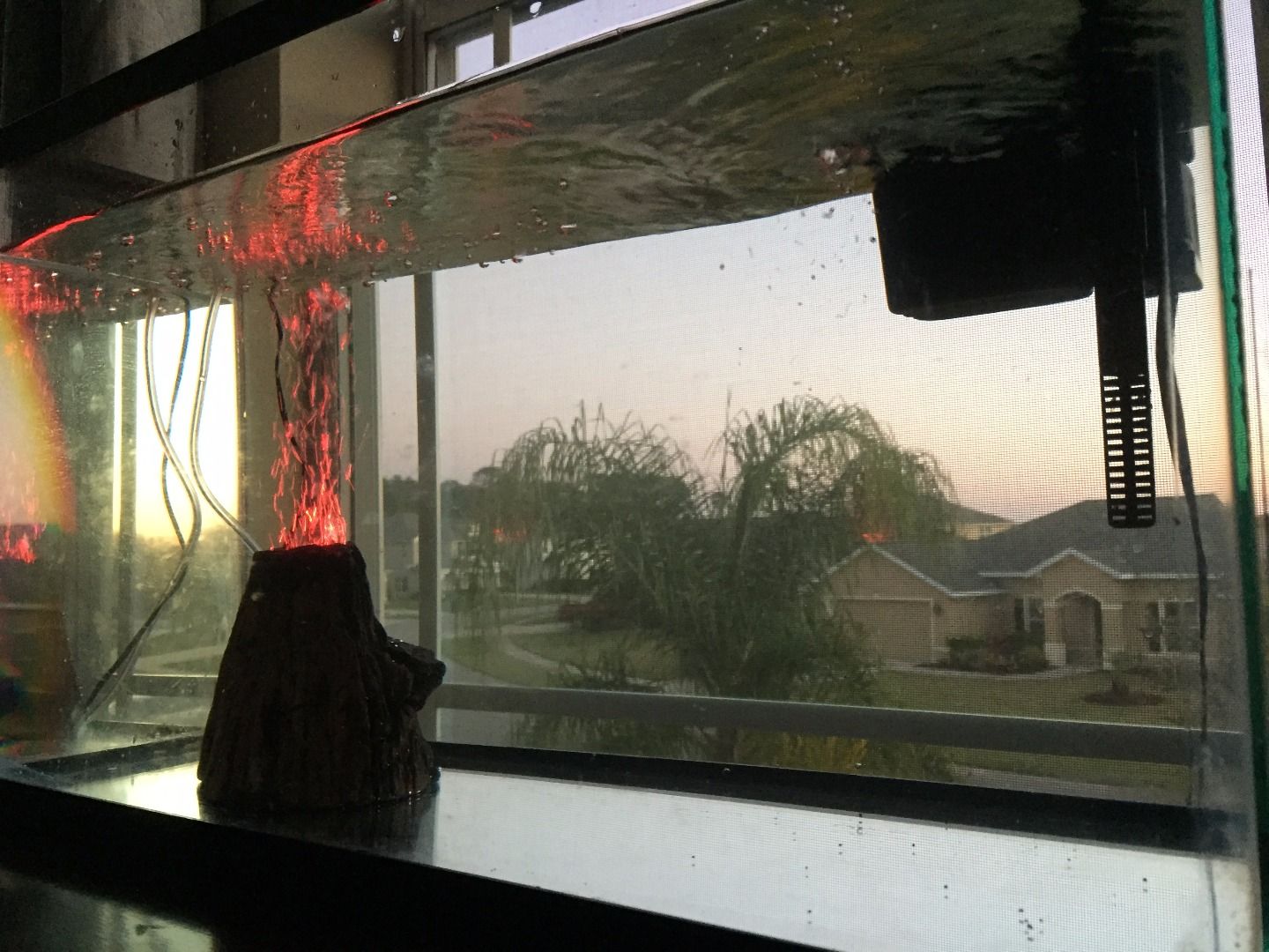 Indoor Aquaponics : 5 Steps - Instructables