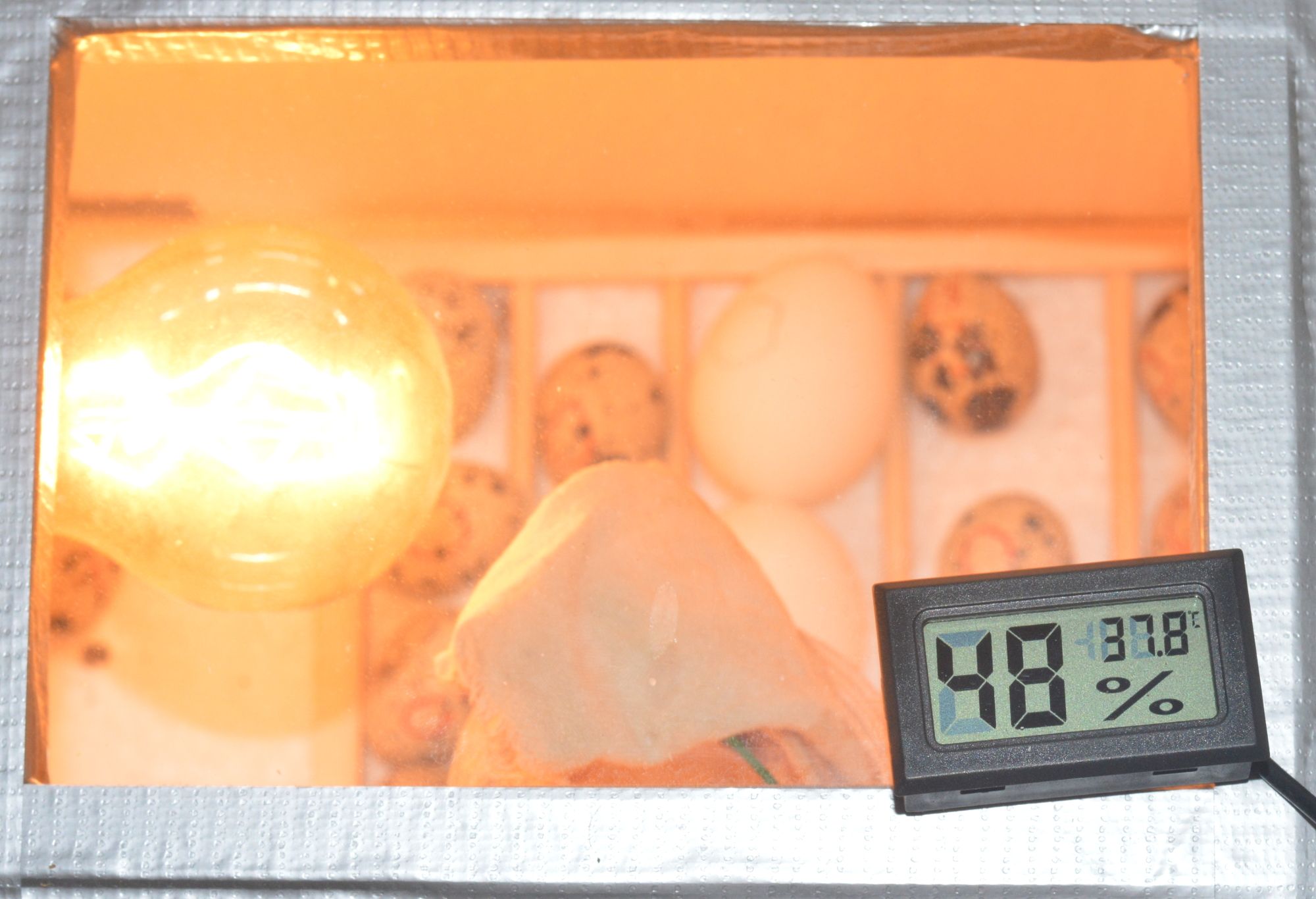 Building a Simple and Cheap Egg Incubator : 5 Steps - Instructables