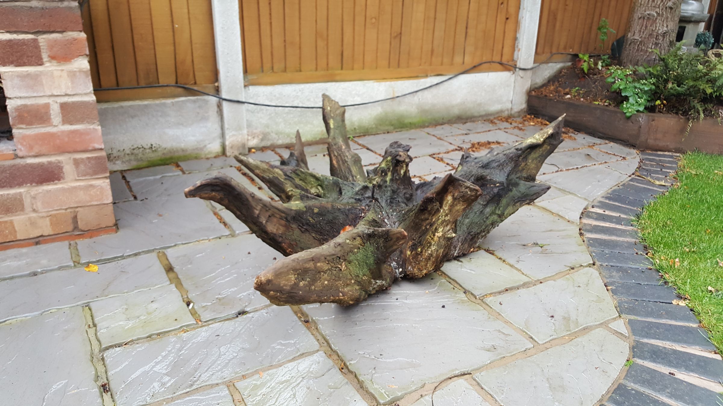 Tree Root Table With Custom Glass Top and Underlight : 10 Steps (with ...
